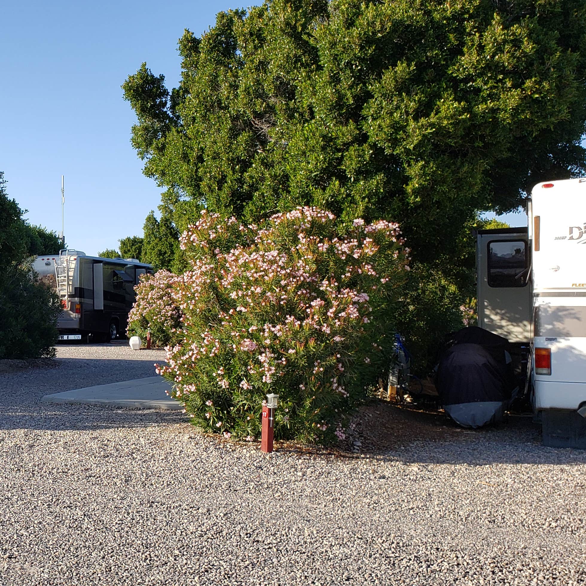 Desert View RV Resort Camping | The Dyrt