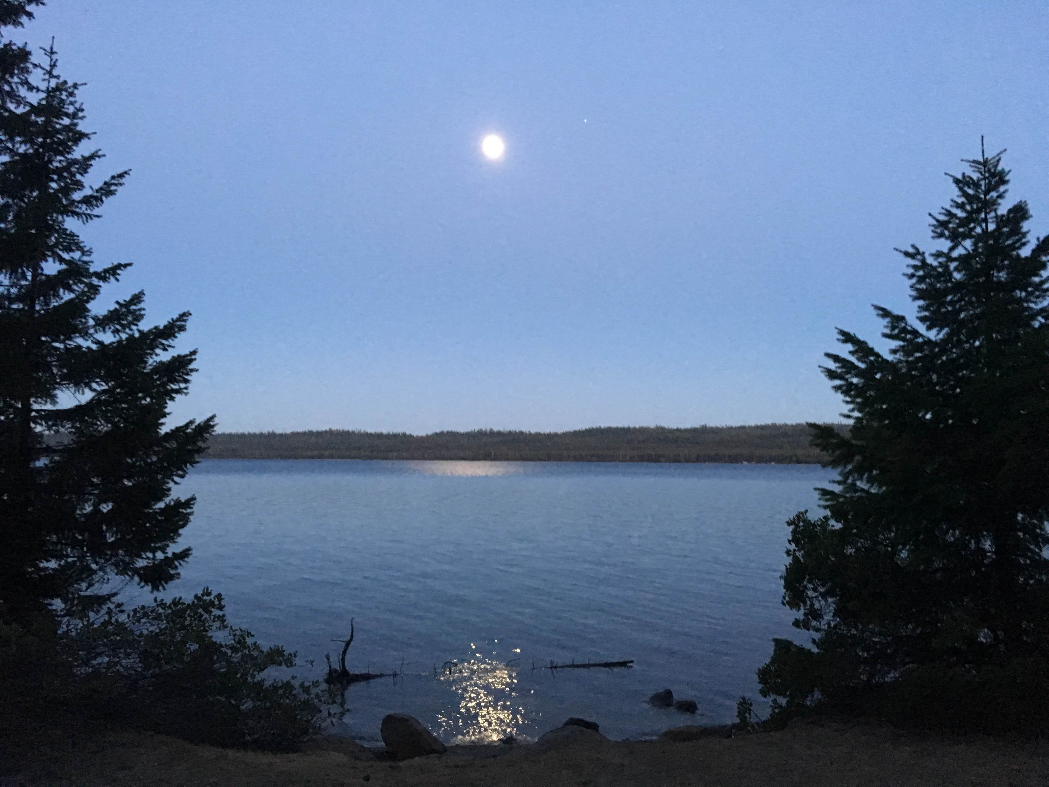 Crescent Lake Campground | Crescent, OR