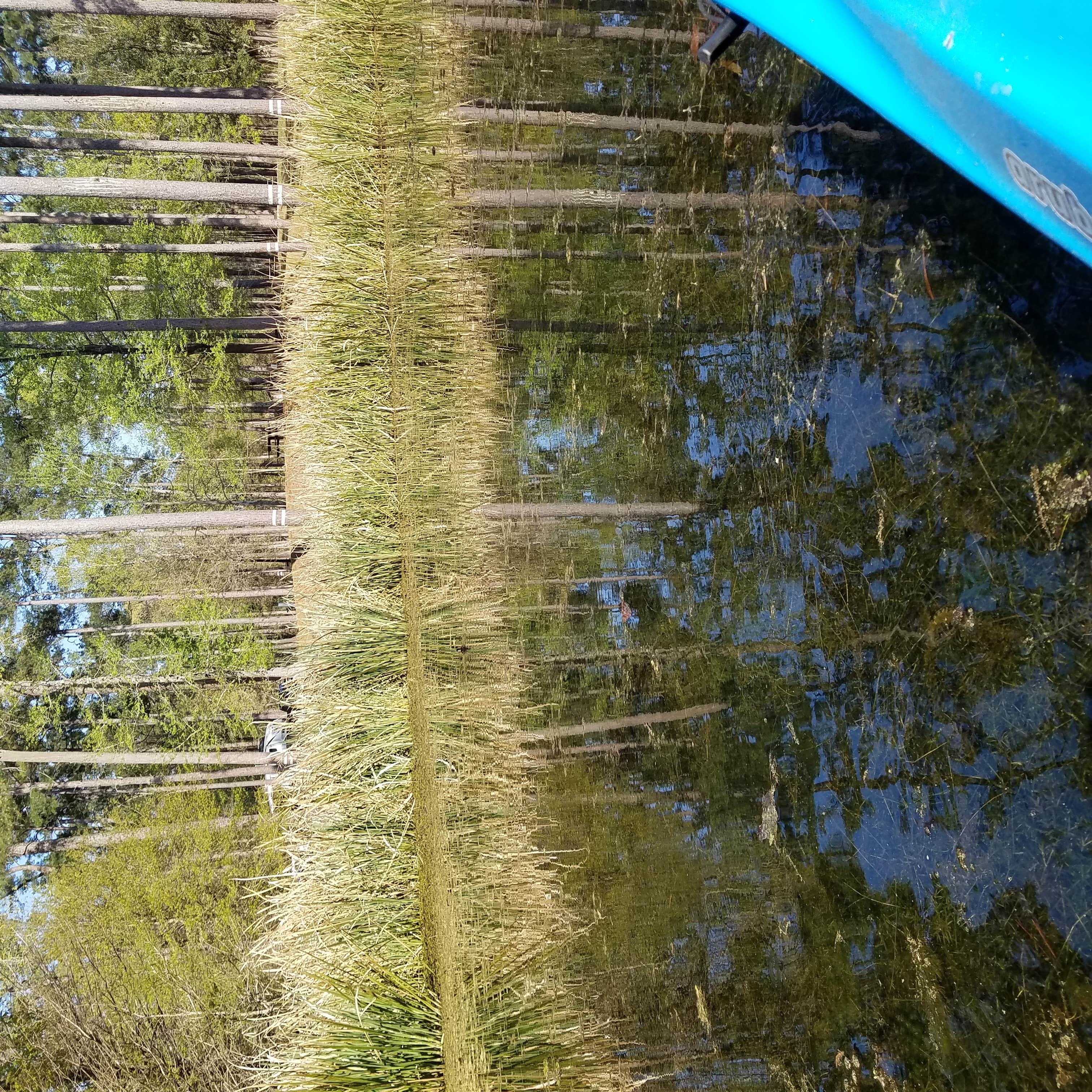 Indian Creek Recreation Area Camping | Woodworth, LA