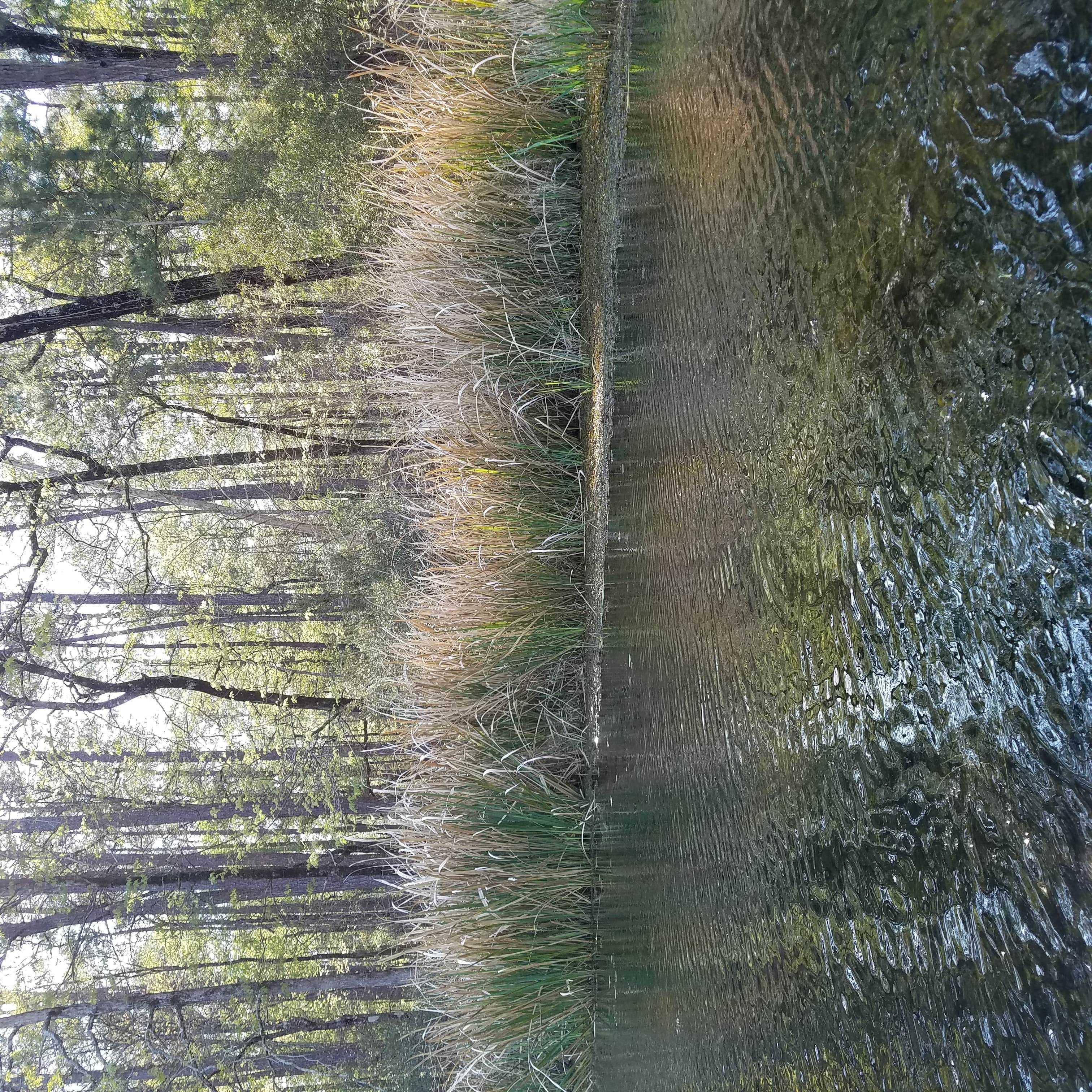 Indian Creek Recreation Area Camping | Woodworth, LA