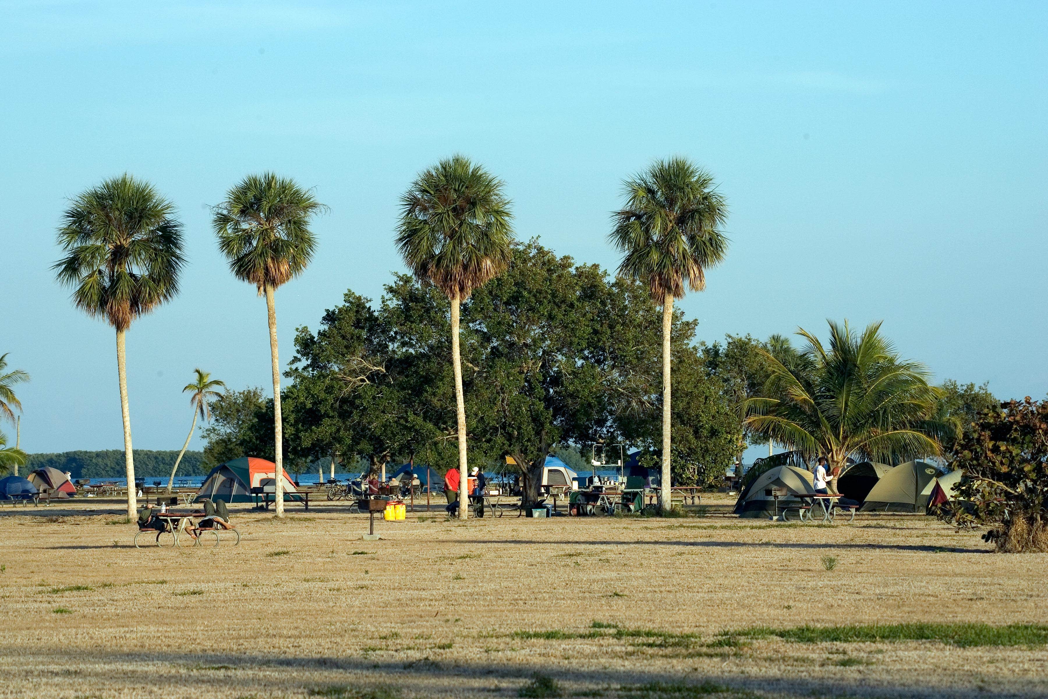 Flamingo Campground — Everglades National Park | Homestead, FL