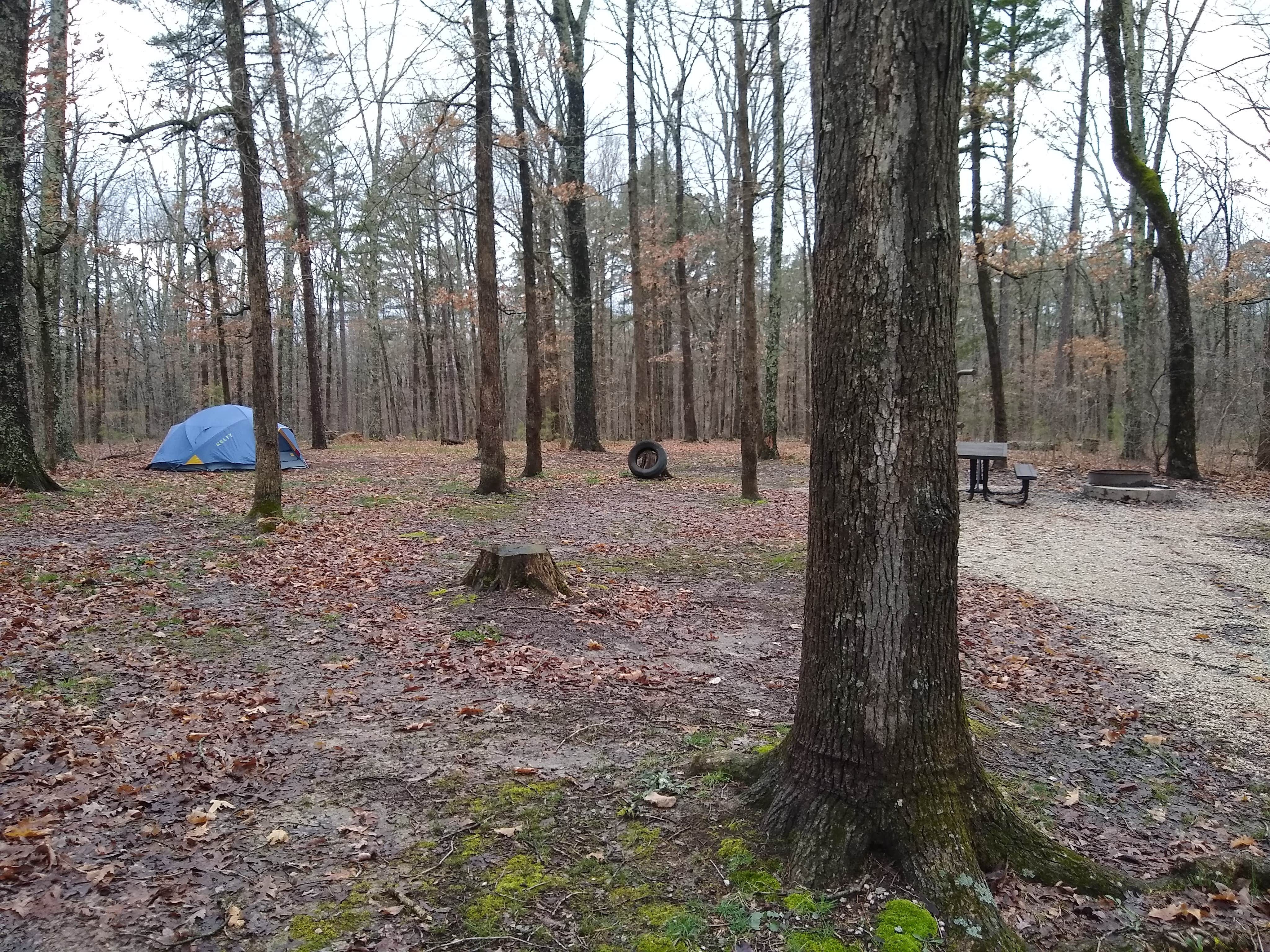 Berryman Trail & Campgrounds - Mark Twain National Forest | Davisville ...