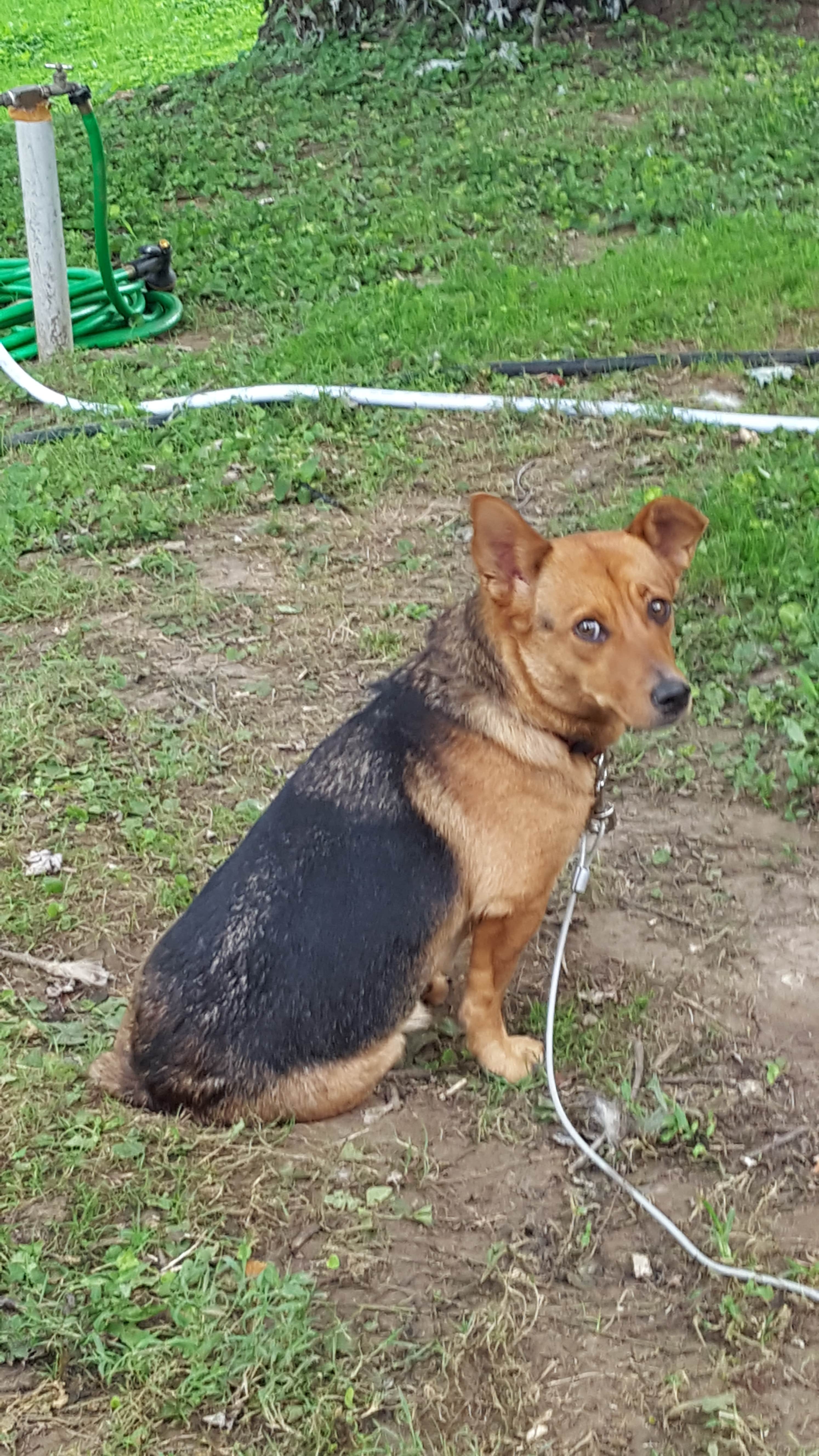 Camp Nelson RV Park | Lancaster, KY