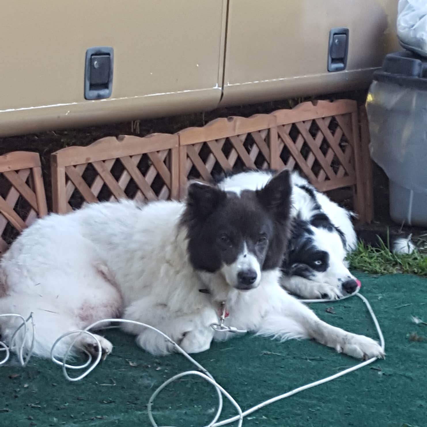 Camp Nelson RV Park | Bryantsville, Kentucky