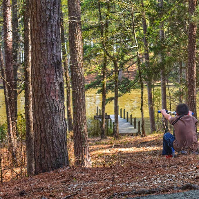 Lake Claiborne State Park Camping | The Dyrt
