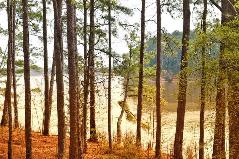 Lake Claiborne State Park Campground | Homer, Louisiana