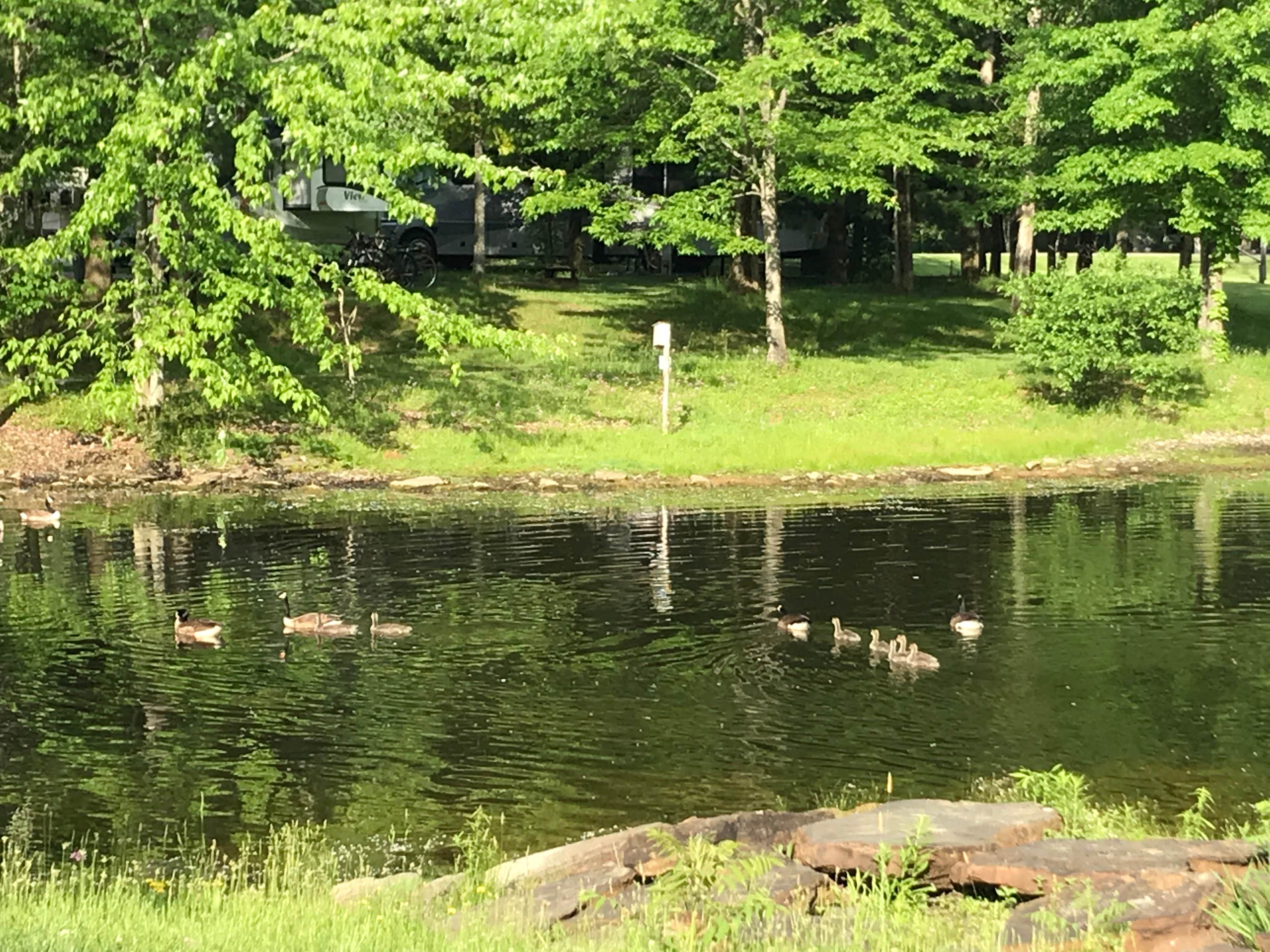 The Villages RV Park at Turning Stone | Oneida, New York