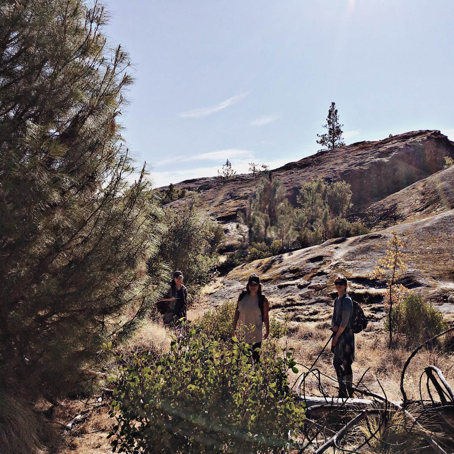 Memorial Campground - Los Padres National Forest Camping | The Dyrt