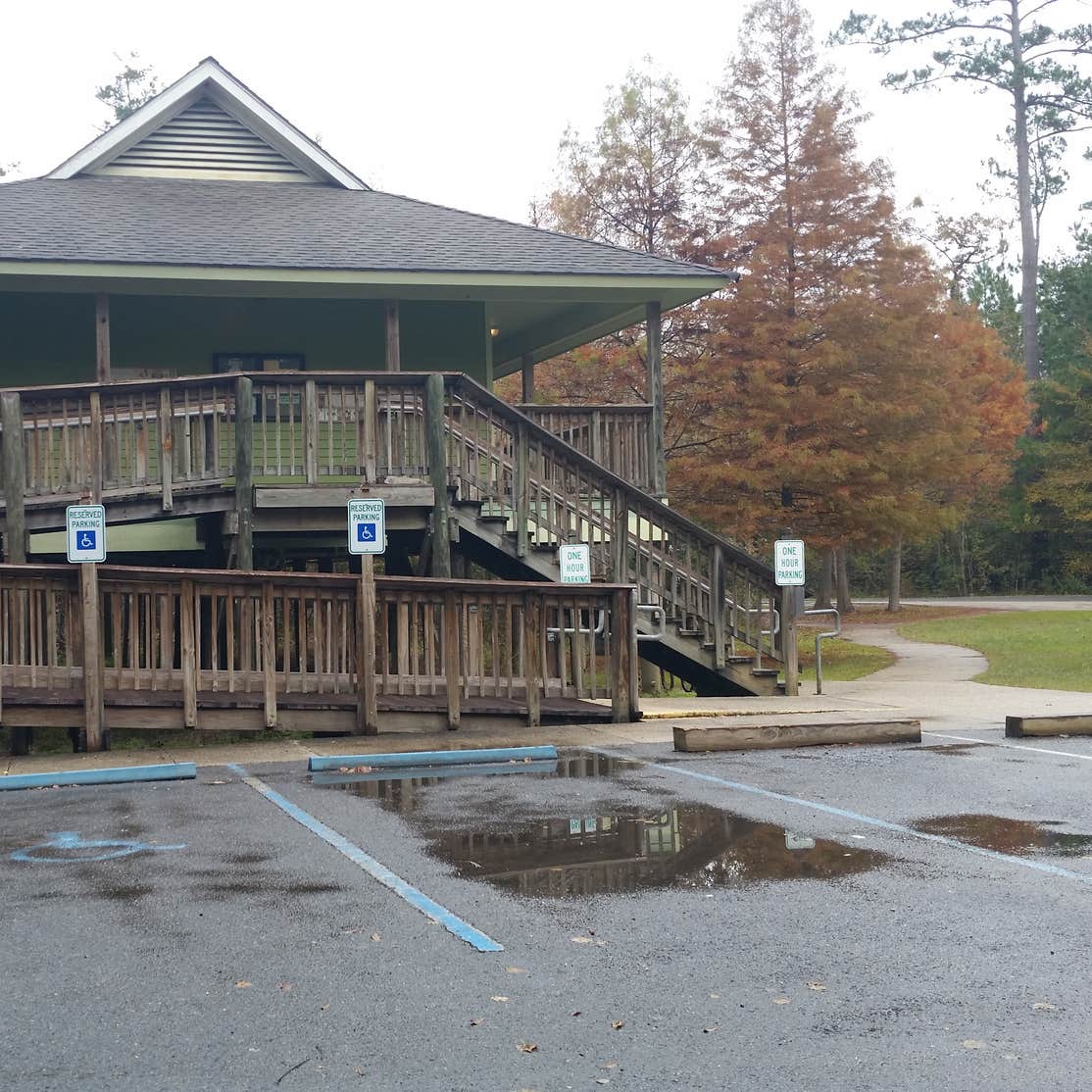 Tickfaw State Park Camping | The Dyrt