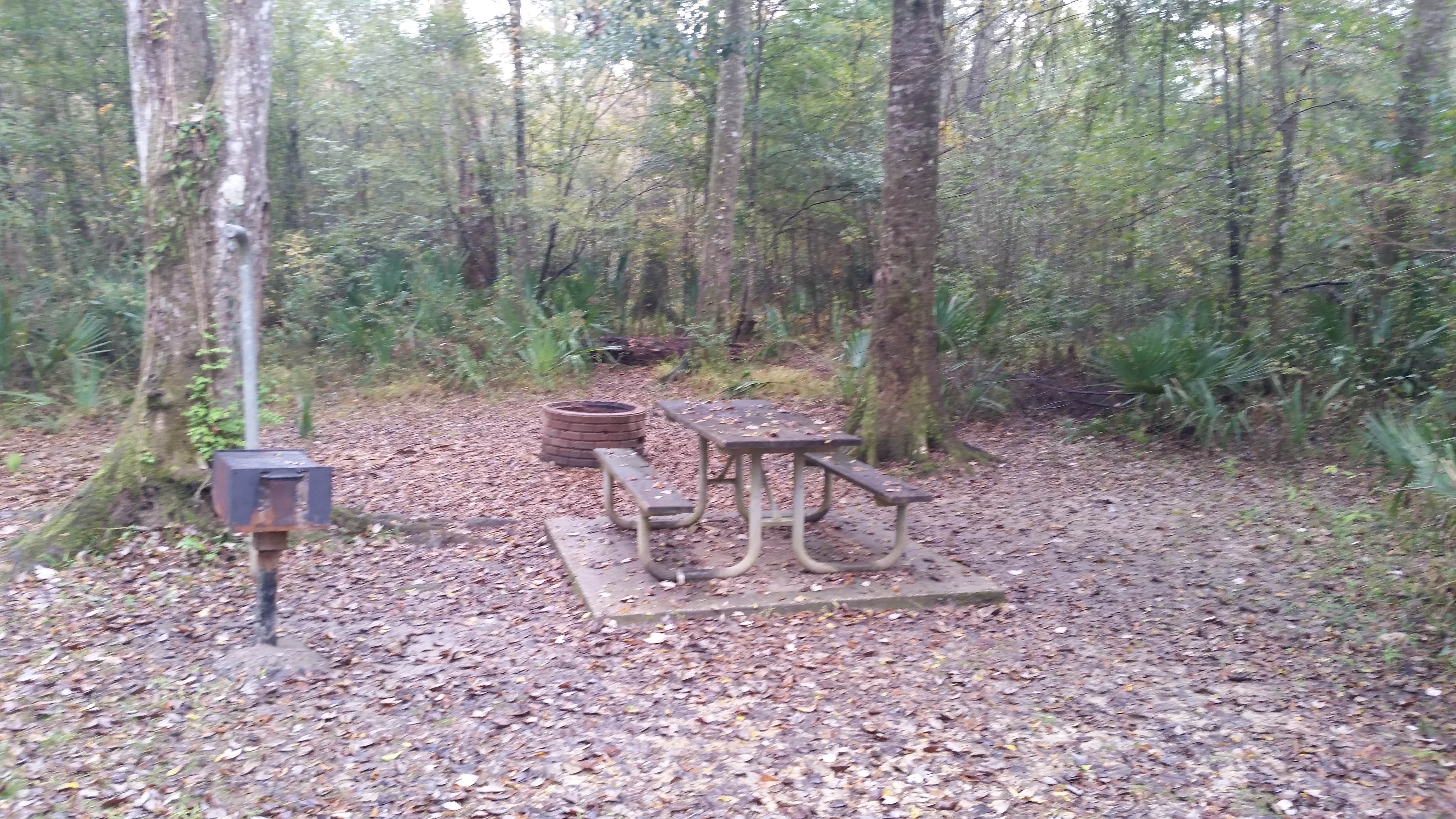 Tickfaw State Park Campground | Maurepas, Louisiana