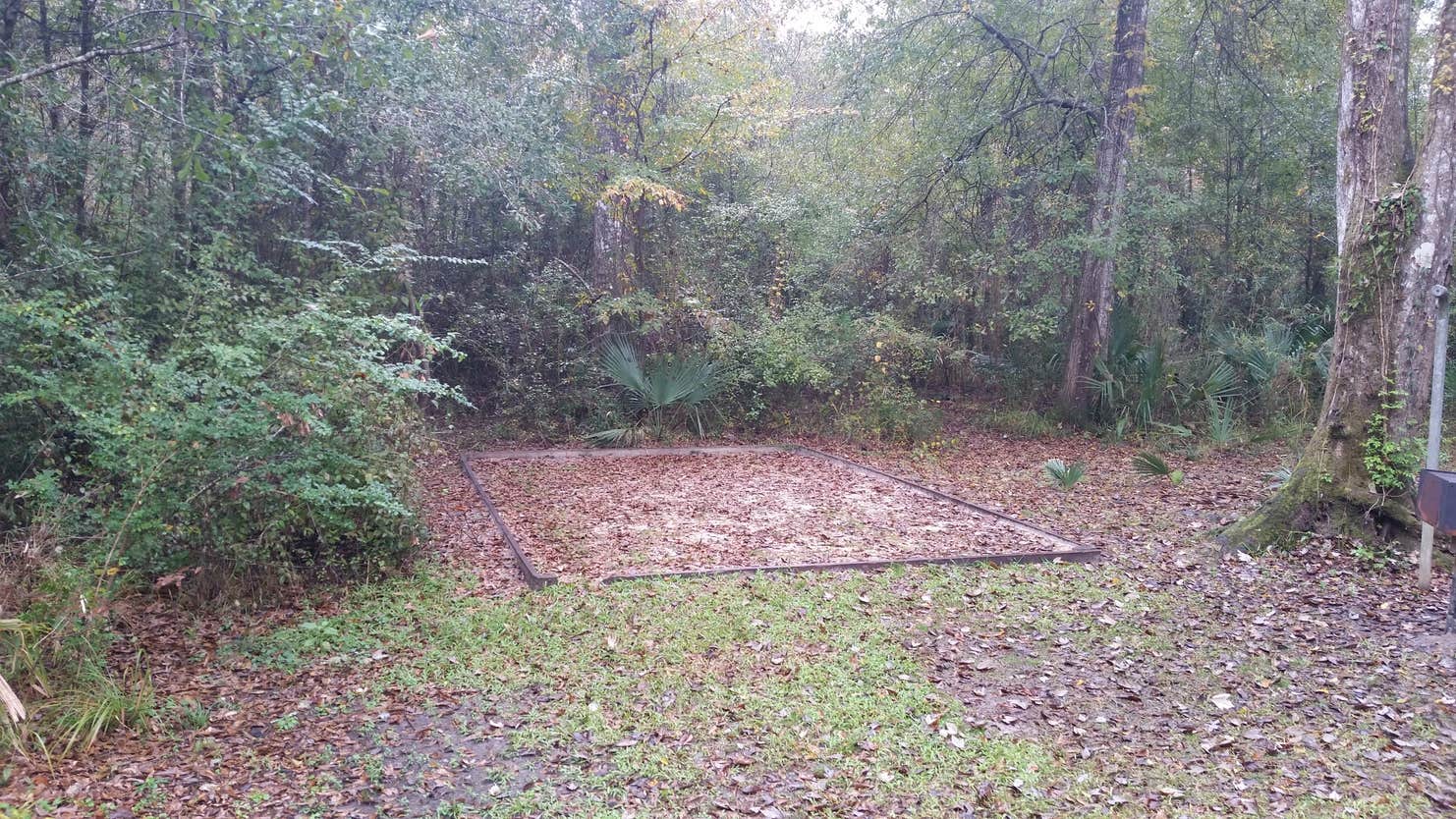 Tickfaw State Park Camping | The Dyrt