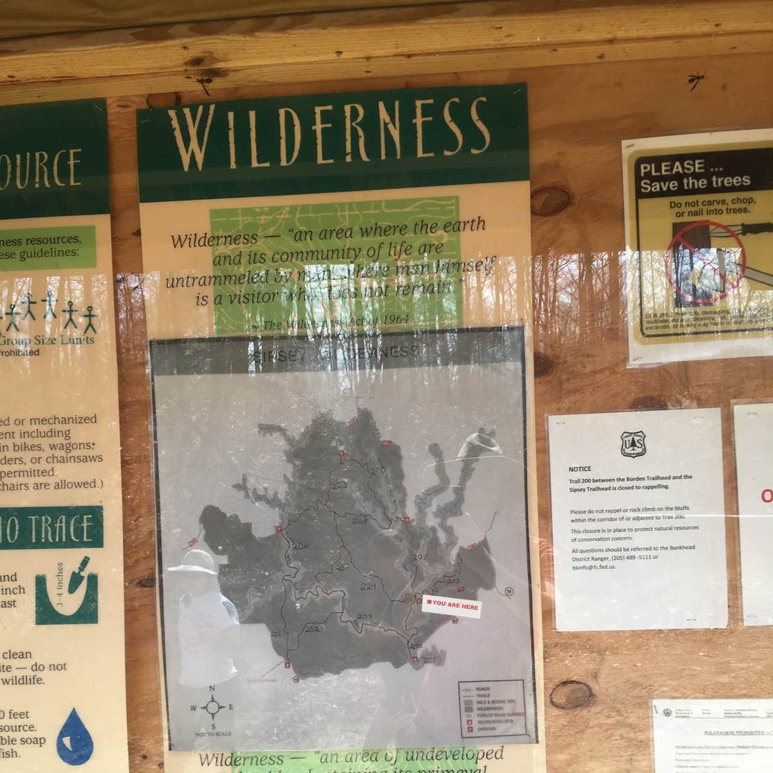 Sipsey Wilderness - Trail 200 Campsites | Bankhead National Forest, Alabama