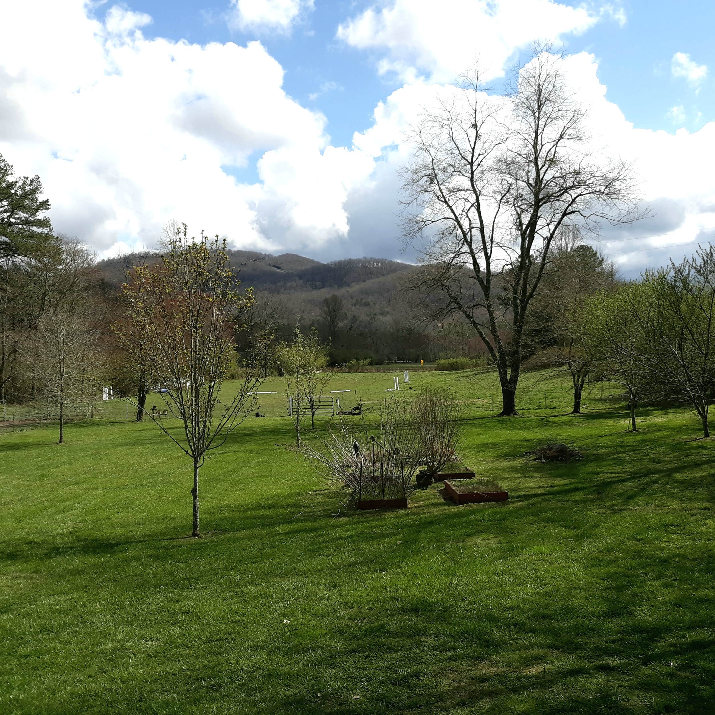 North Sungate Farms Treehouse Glamping Camping | The Dyrt