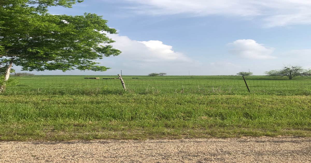 Wagon Wheel RV Park | Bulverde, Texas