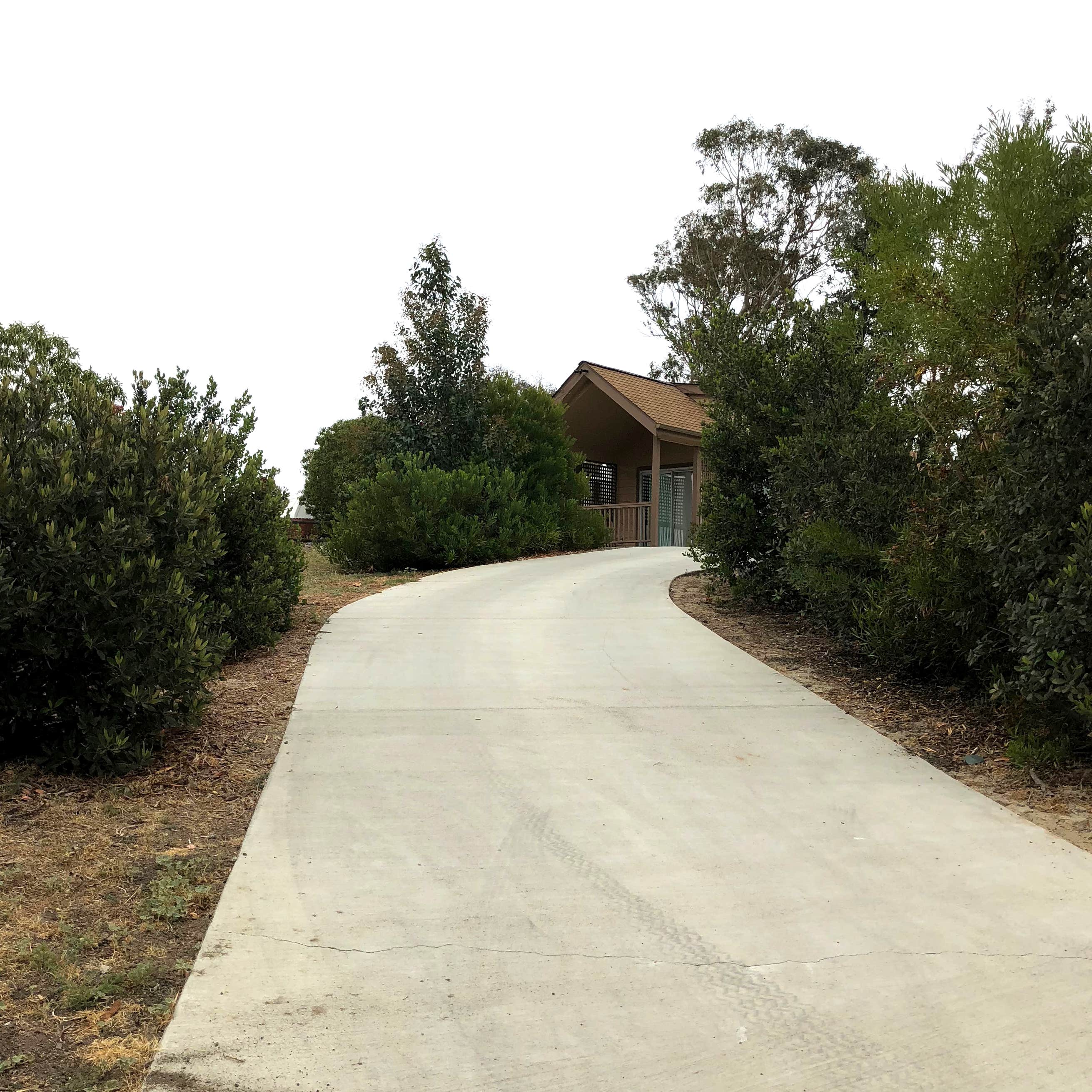 Guajome Regional Park Camping | The Dyrt