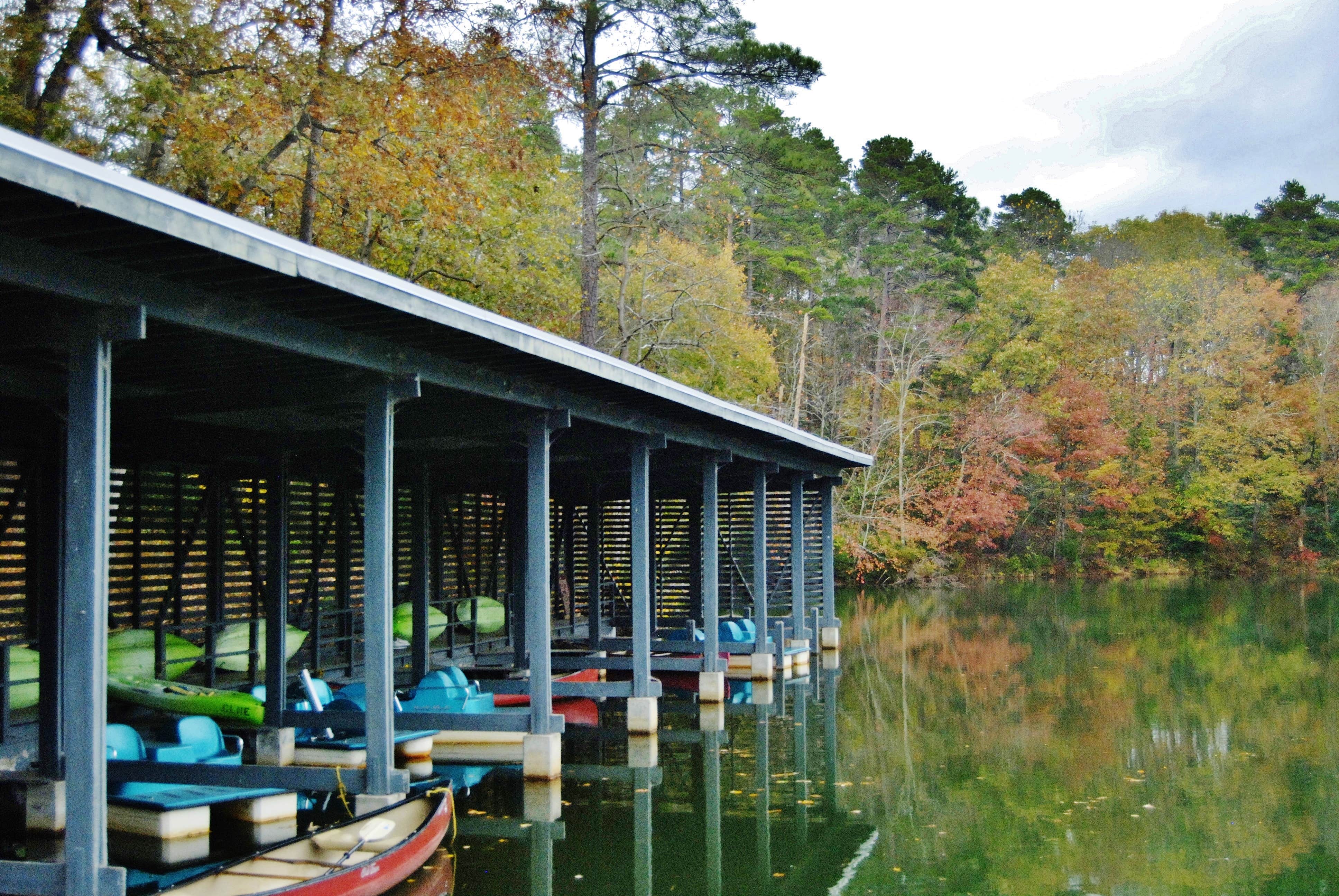 Cliffs of the Neuse State Park Campground | Seven Springs, North Carolina