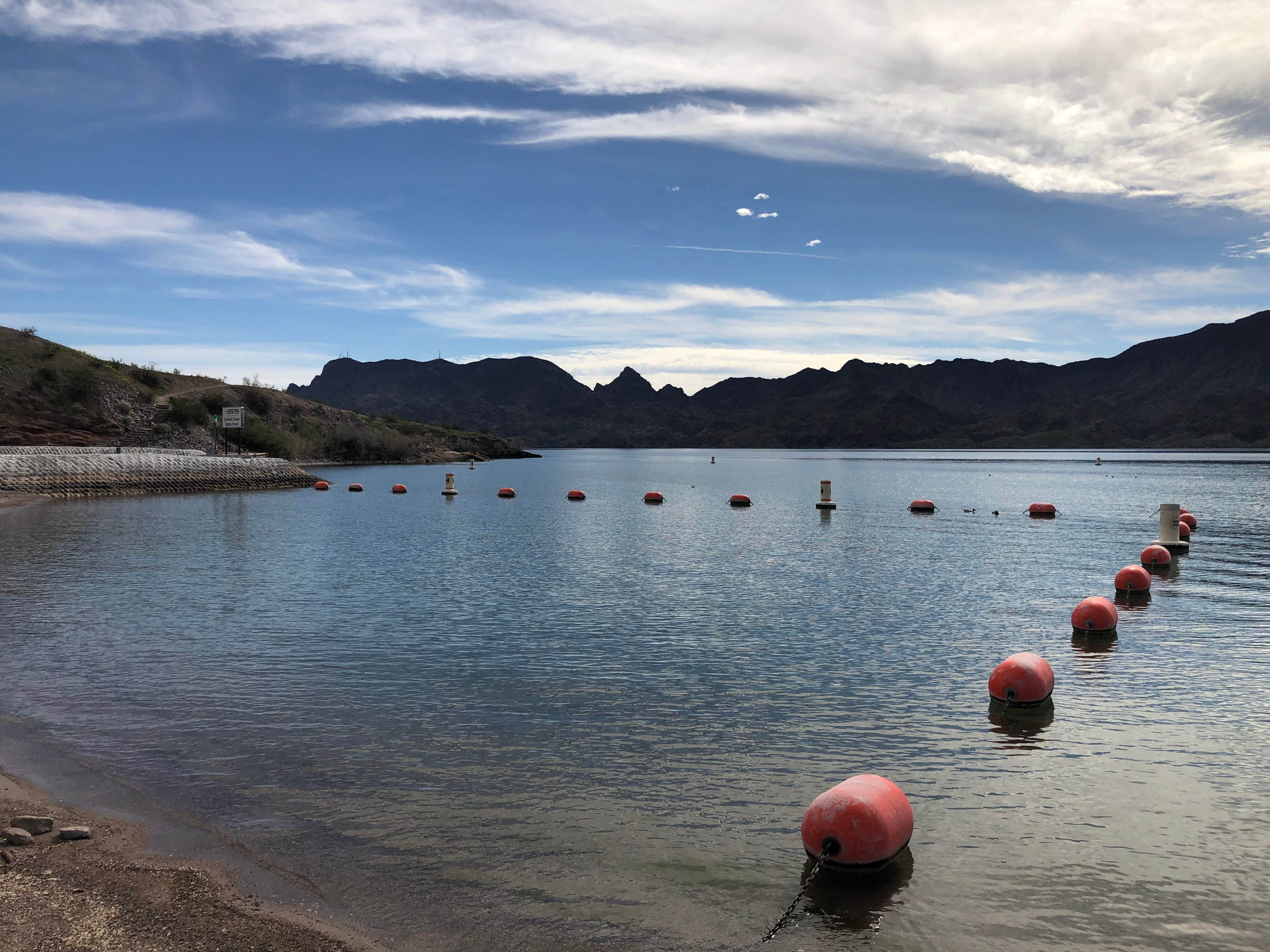 Cattail Cove State Park Campground | Lake Havasu City, AZ