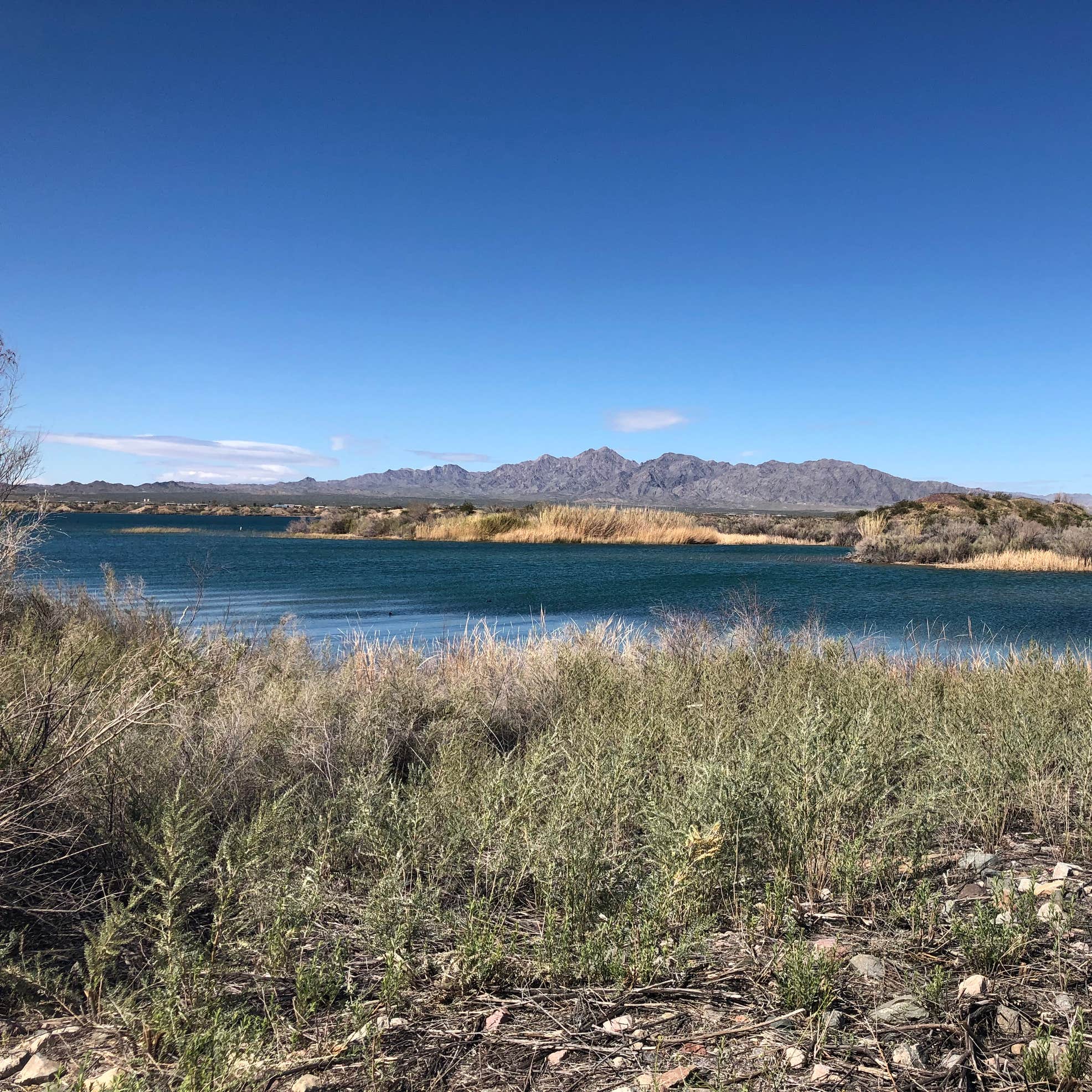 Cattail Cove State Park Camping | The Dyrt