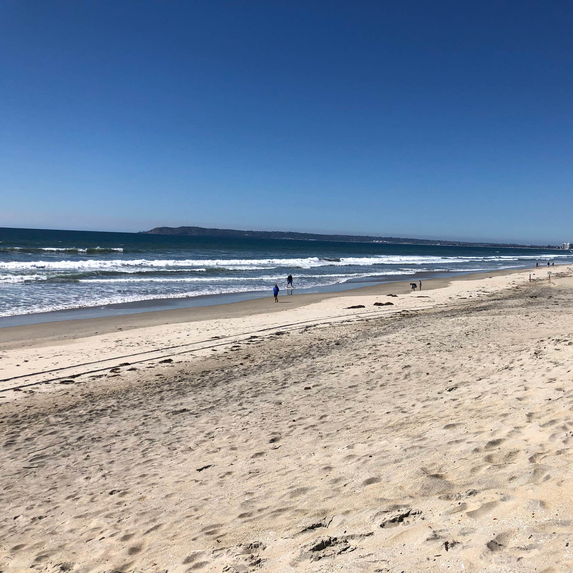 Silver Strand State Beach Camping | The Dyrt