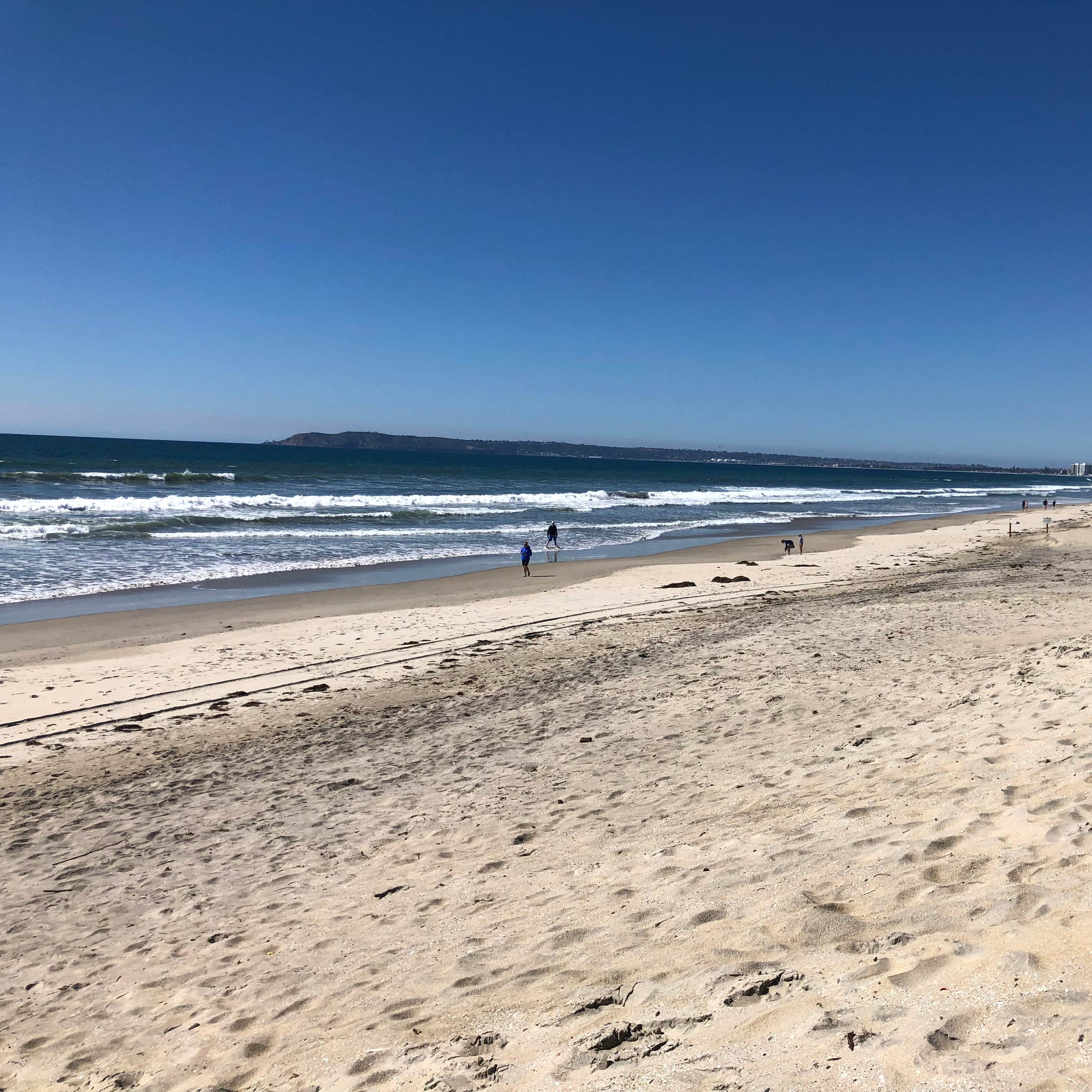 Silver Strand State Beach Camping | The Dyrt