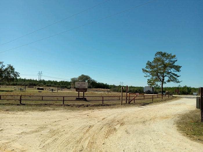 Big Scrub Campground | Umatilla, FL