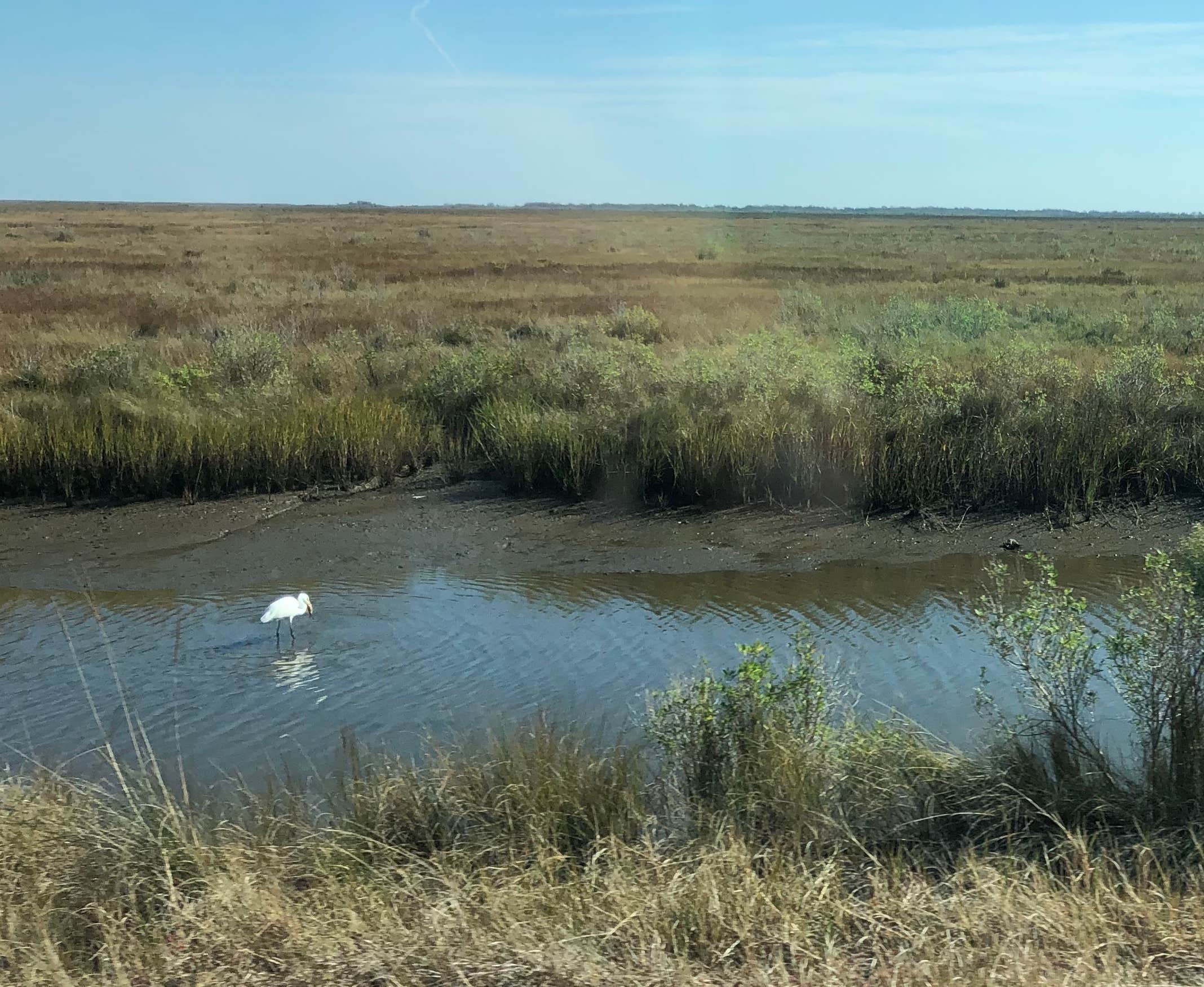 Holly Beach RV Park | Holly Beach, LA