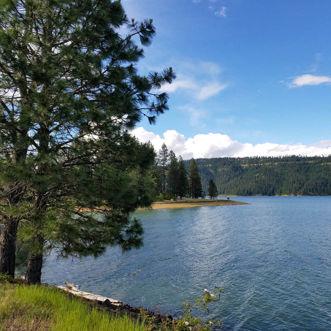 Dworshak State Park Camping | The Dyrt