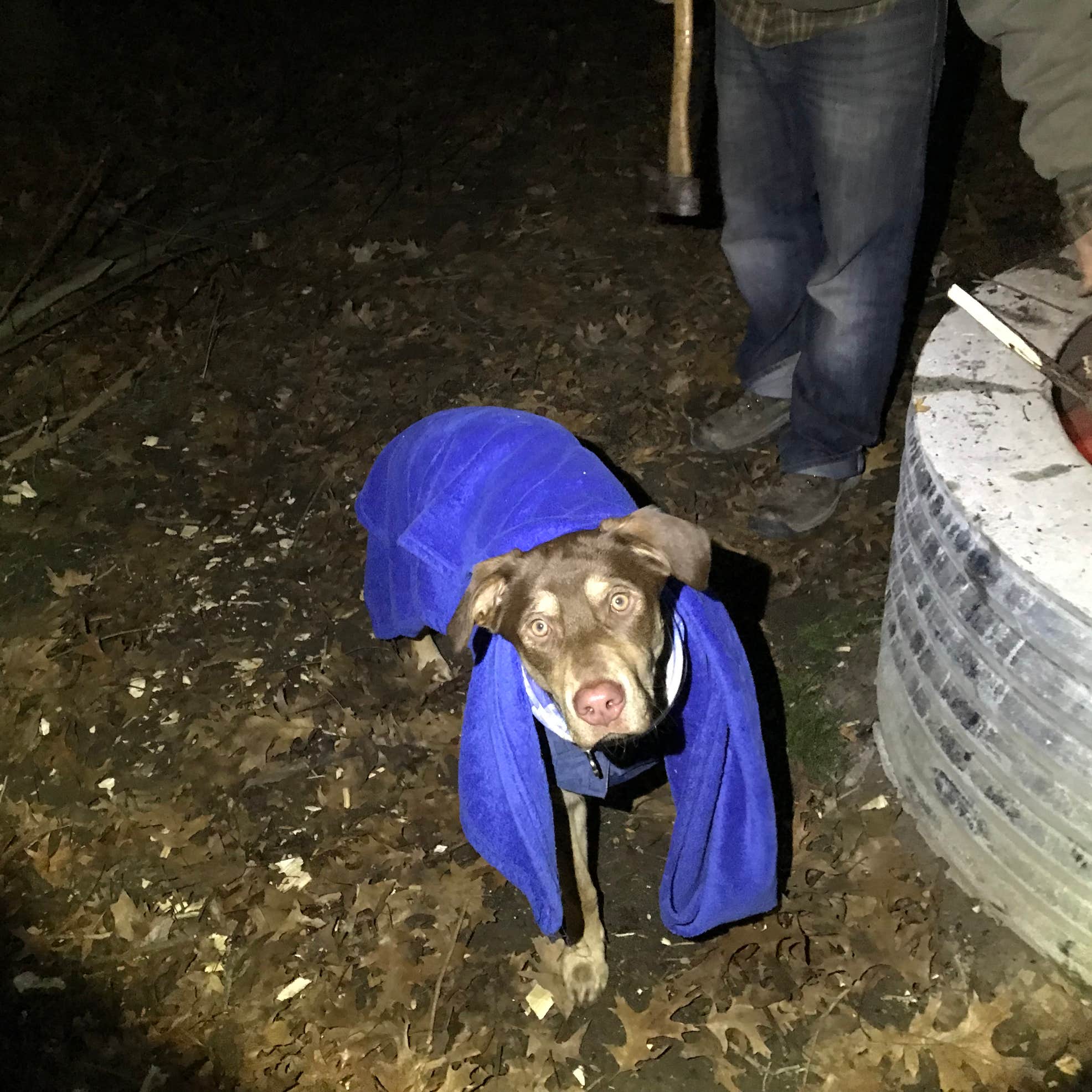 Fort Custer Recreation Area Camping | The Dyrt