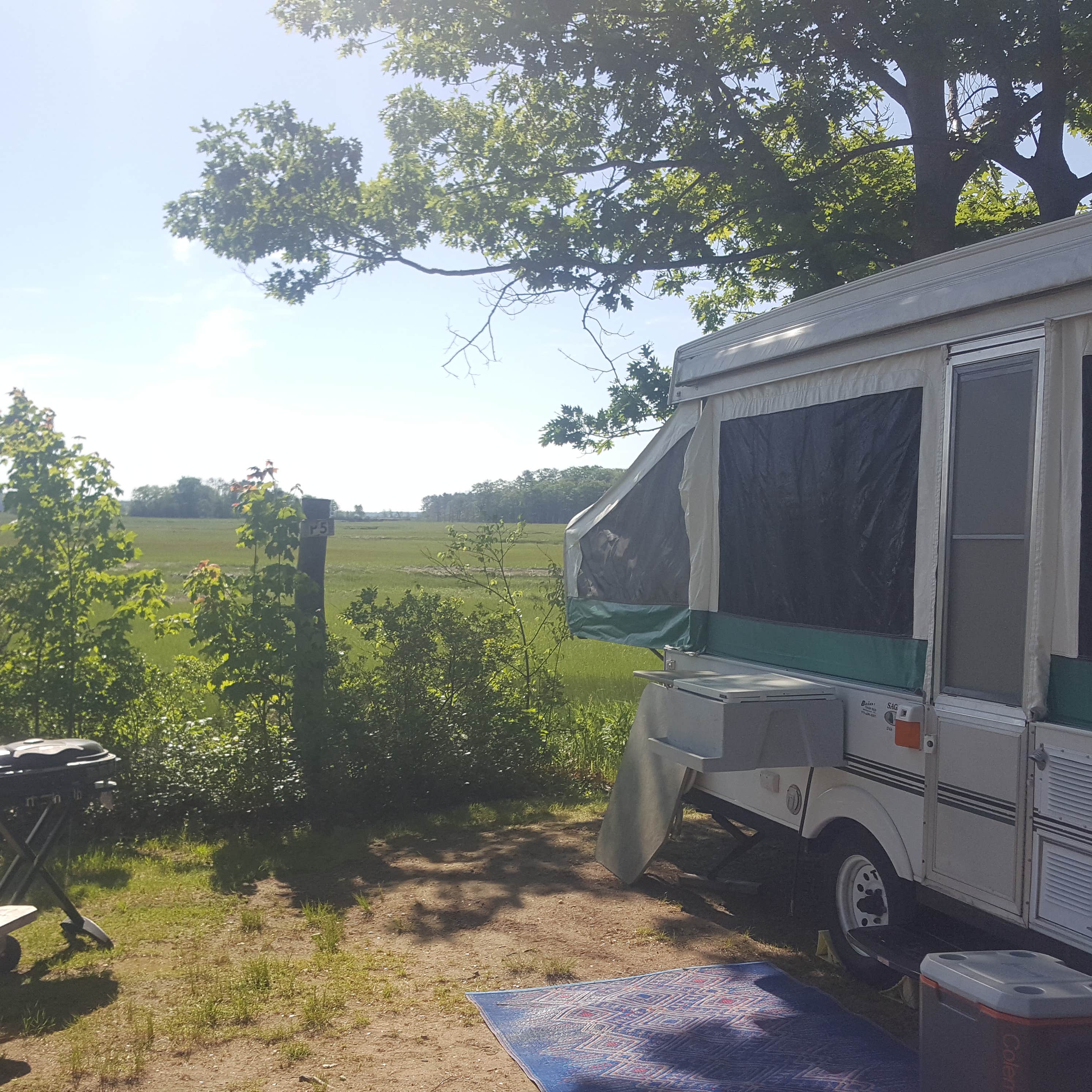 Wild Duck Adult Campground & RV Park Camping | The Dyrt