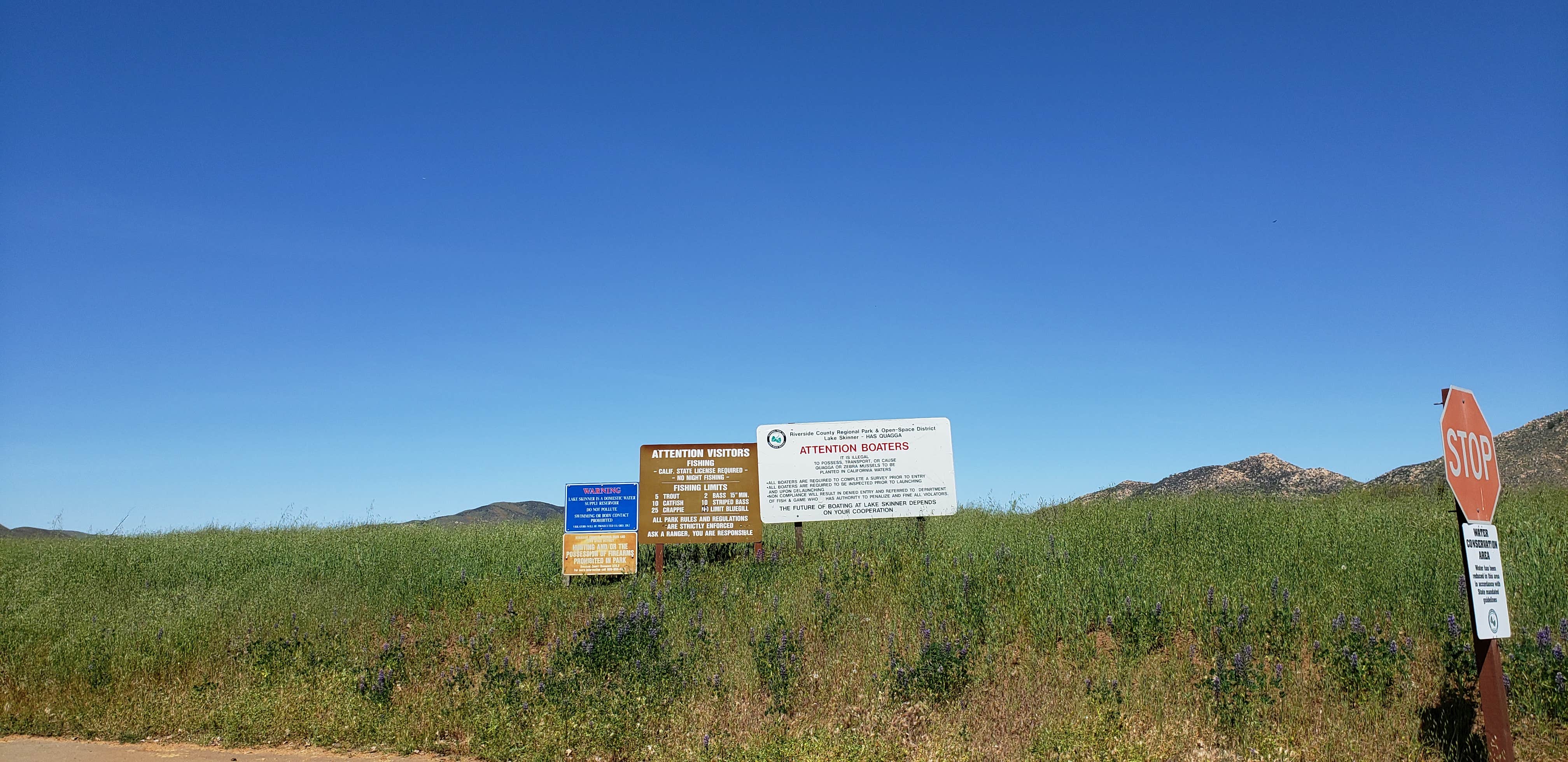 Lake Skinner Recreation Area Camping | Temecula, California