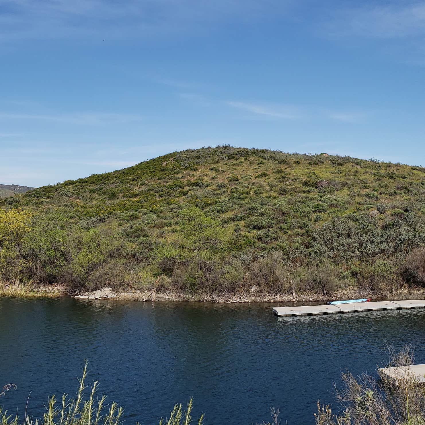 Lake Skinner Recreation Area Camping | The Dyrt