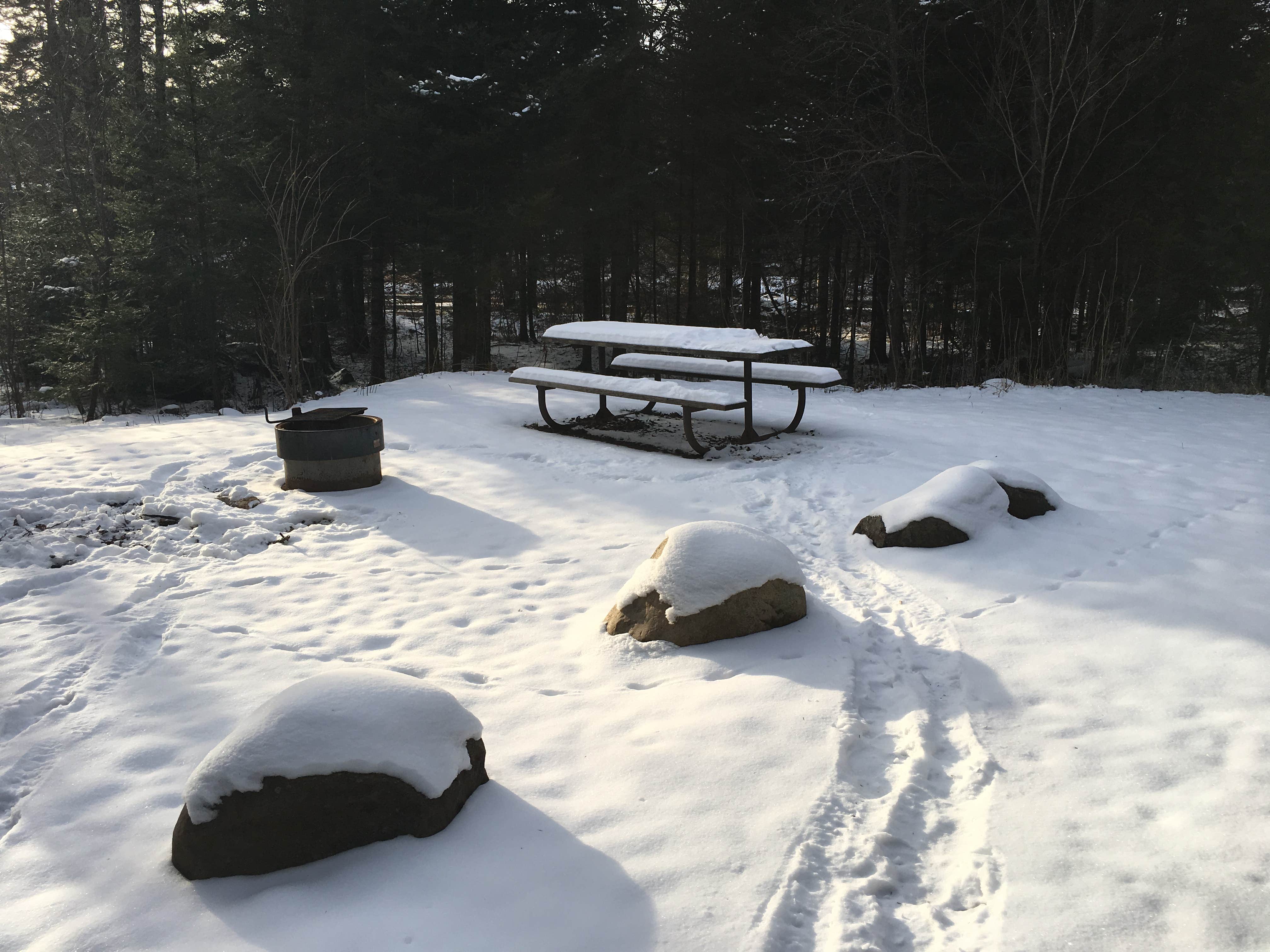 Finland State Forest Campground | Finland, MN