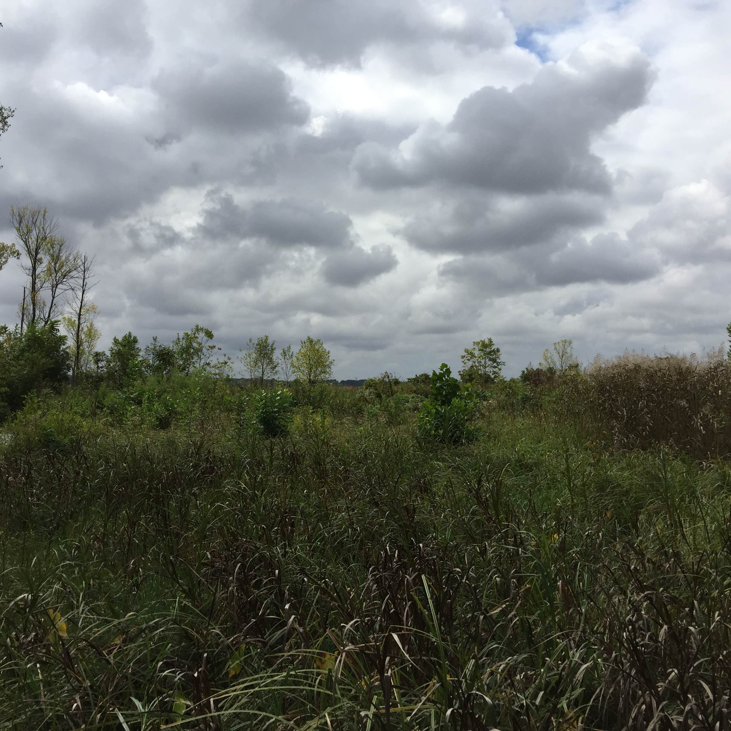 Indian Creek Campground | Monroe city, MO