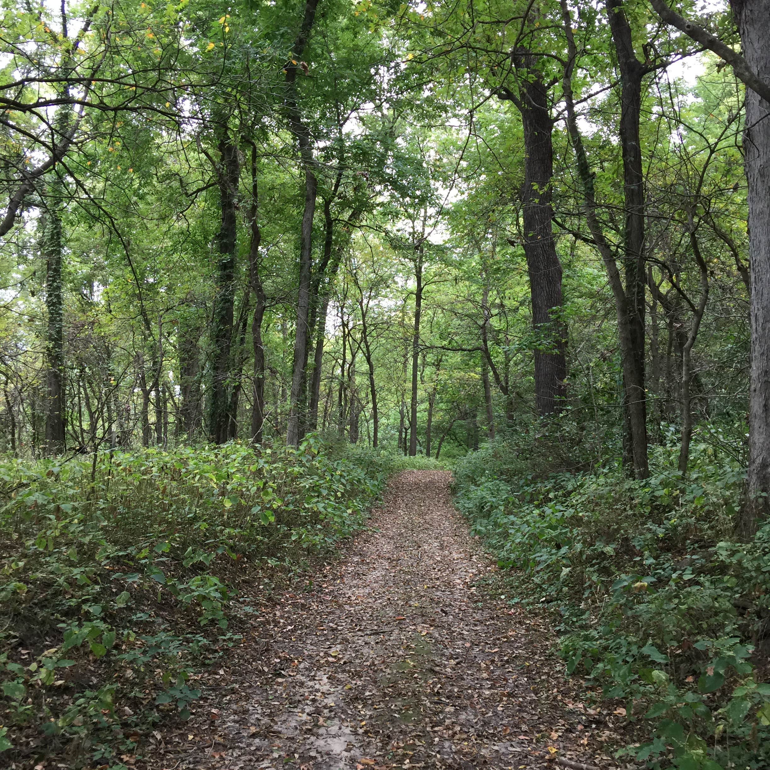 Indian Creek Campground | Stoutsville, Missouri