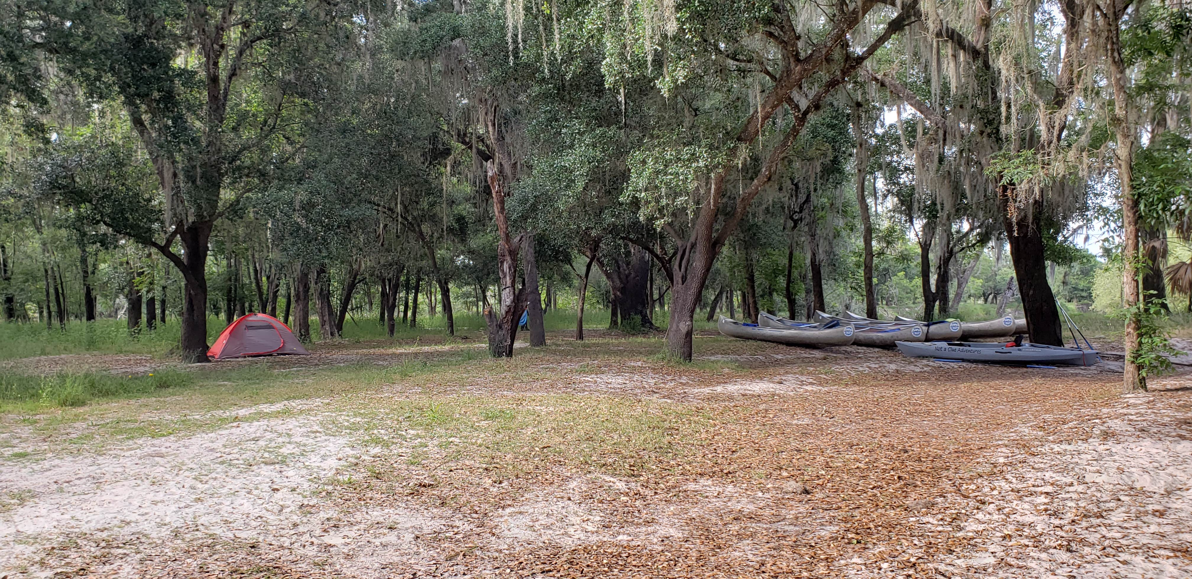 Oak Hill Campground - Peace River | Arcadia, FL