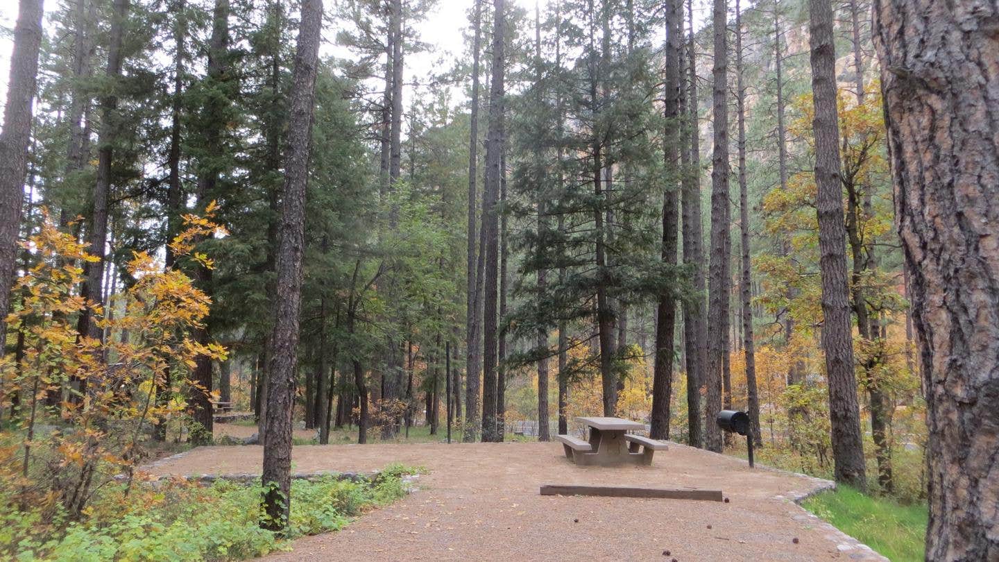 THE 10+ BEST Campgrounds near Mormon Lake, AZ | Updated 2025
