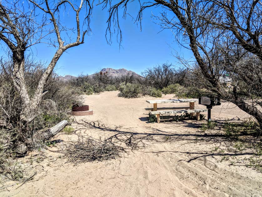 Hot Well Dunes Recreation Area | The Dyrt