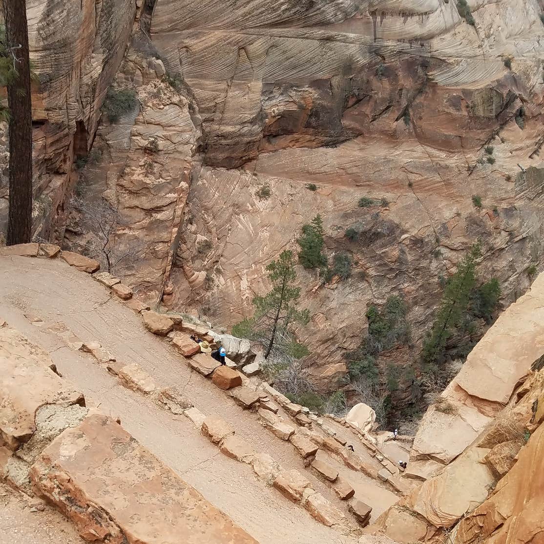 Lava Point Campground — Zion National Park | Kanarraville, Utah