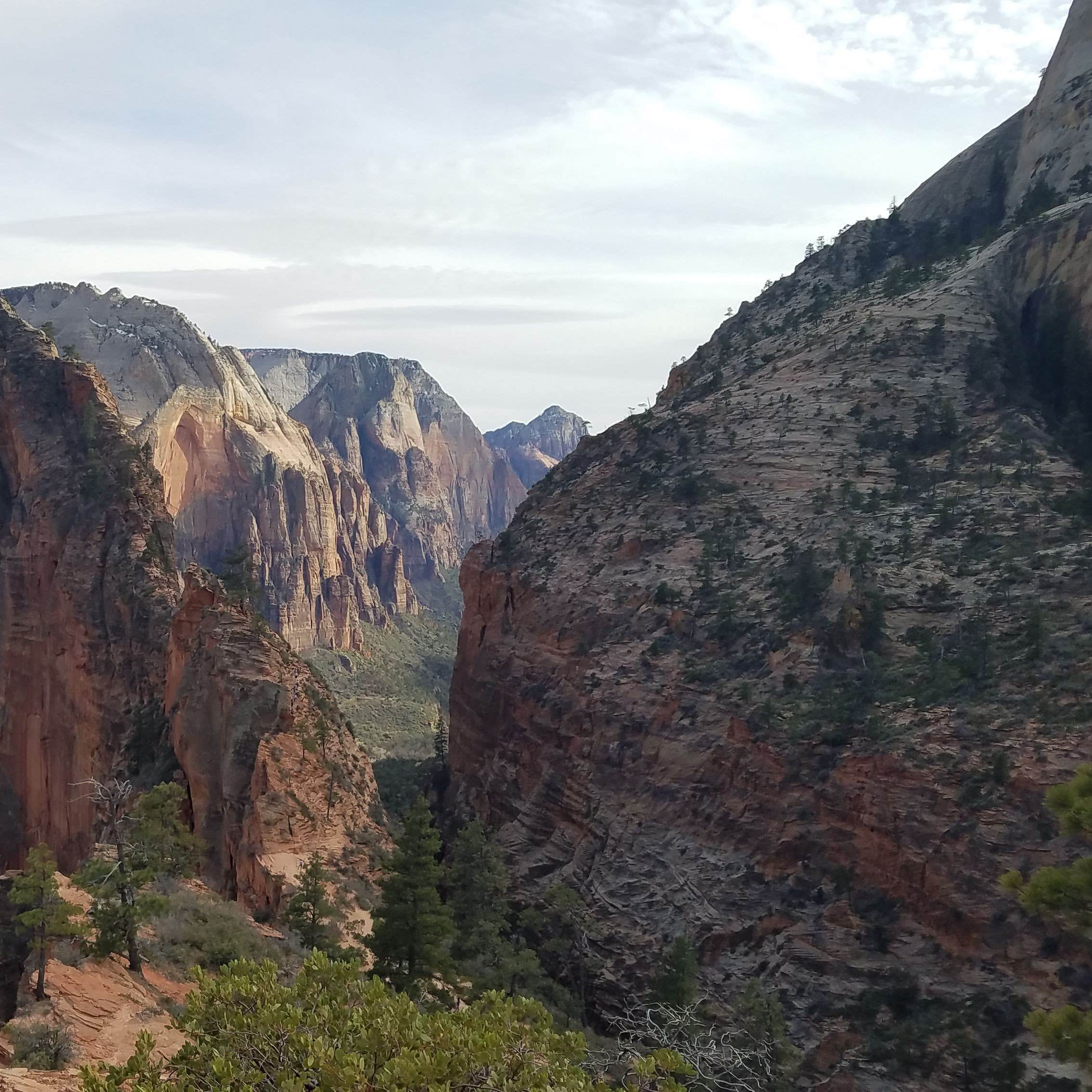 Lava Point Campground — Zion National Park | Kanarraville, Utah