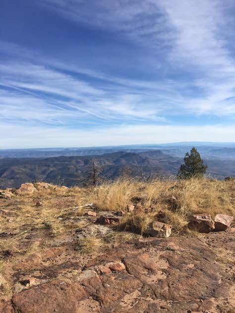 Rose Creek | The Dyrt