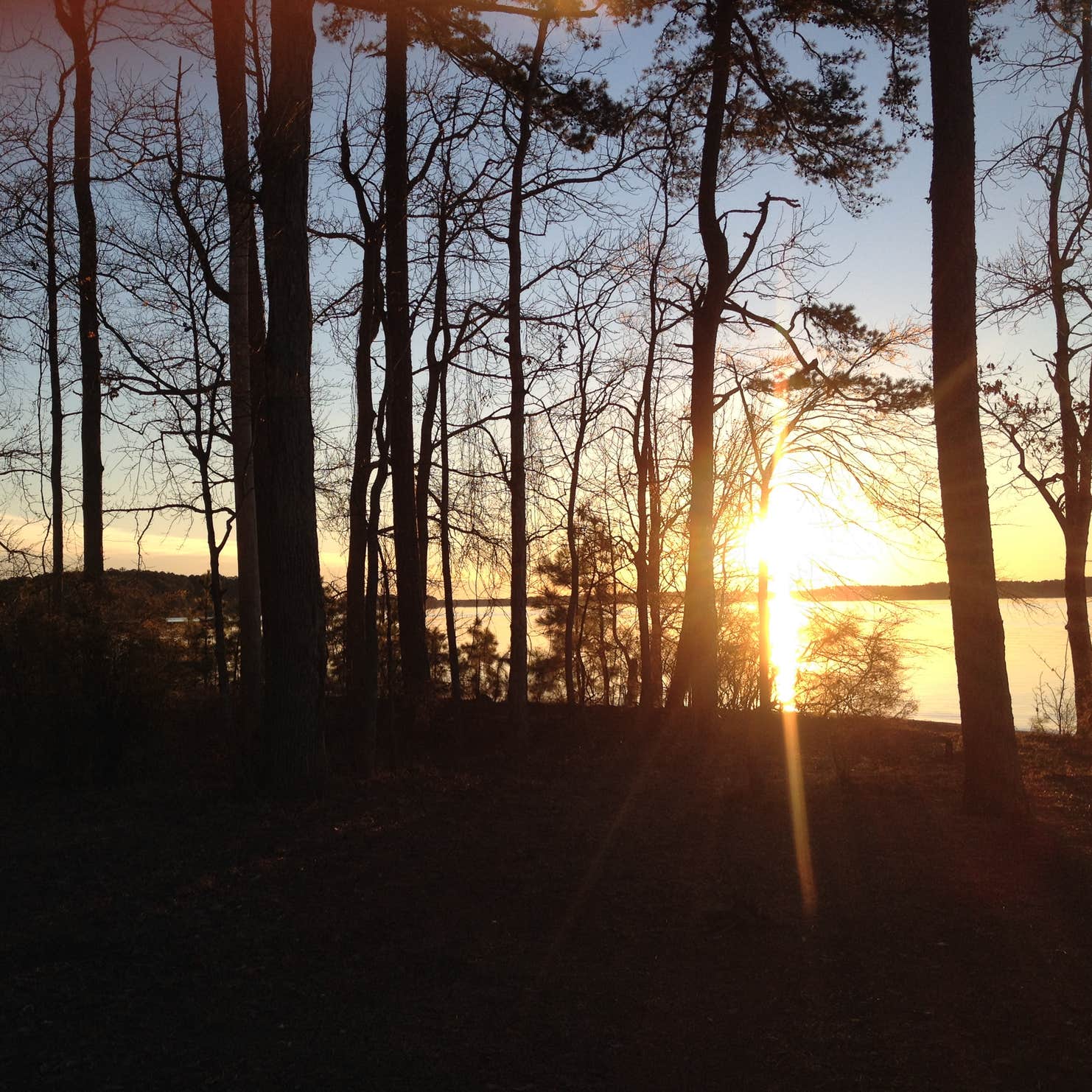 Mistletoe State Park Camping | The Dyrt