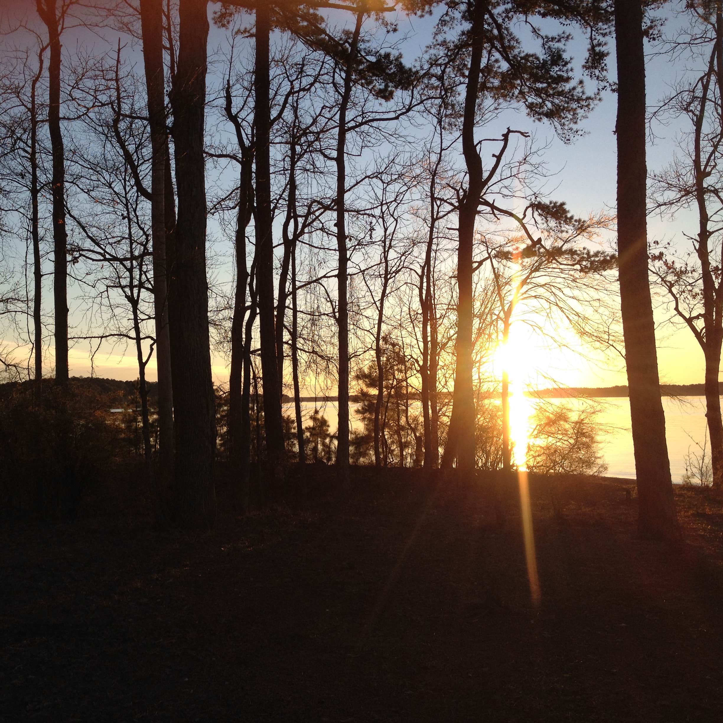 Mistletoe State Park Camping | The Dyrt