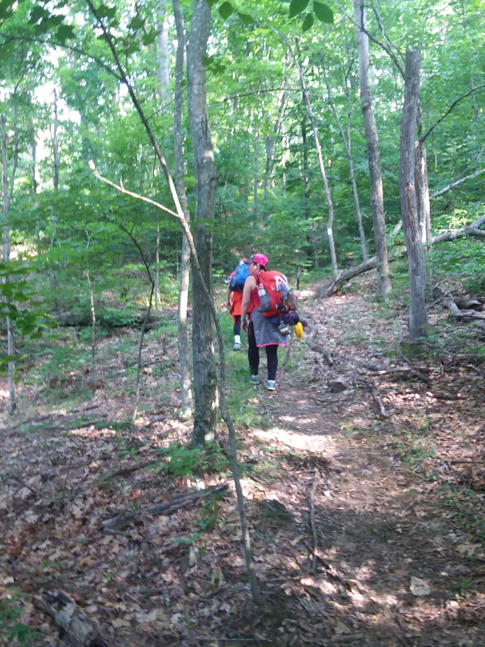 Delaney Creek Park Camping | Vallonia, Indiana