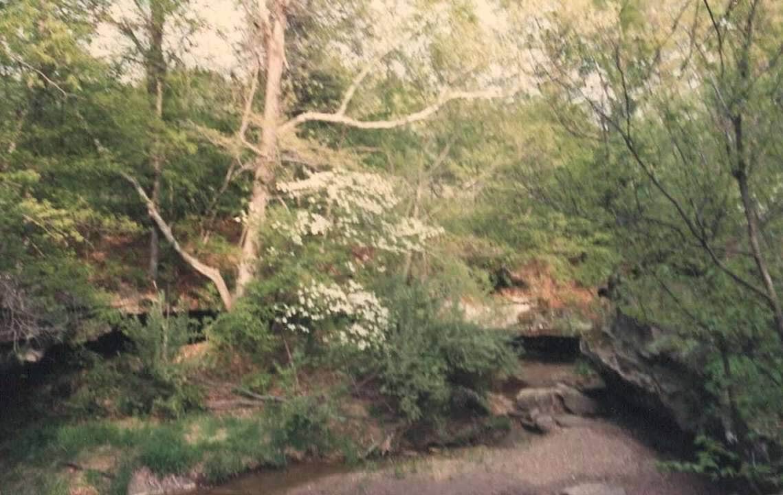 Randolph County State Recreation Area Camping | Chester, IL
