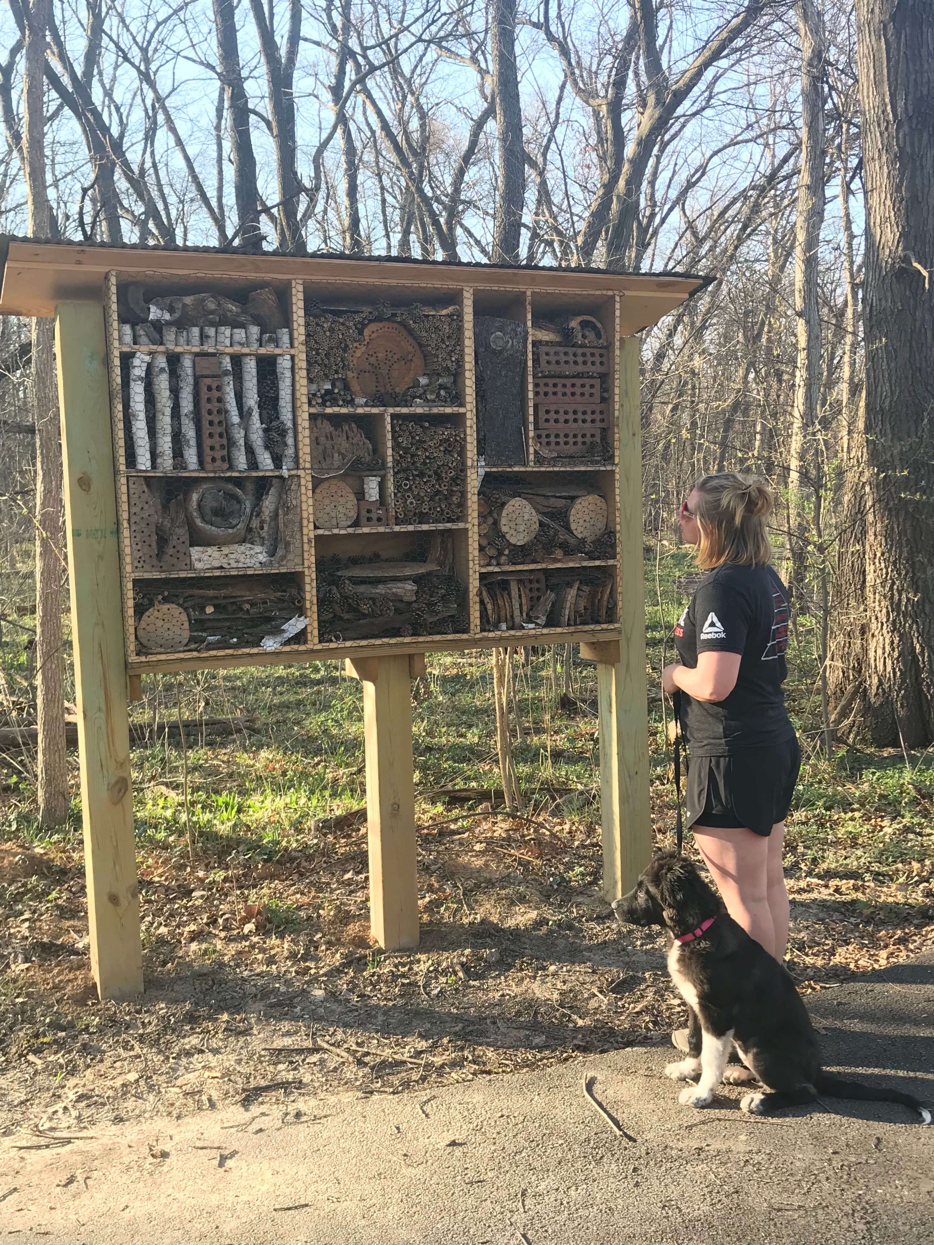 Big Rock Campground | Big Rock, Illinois