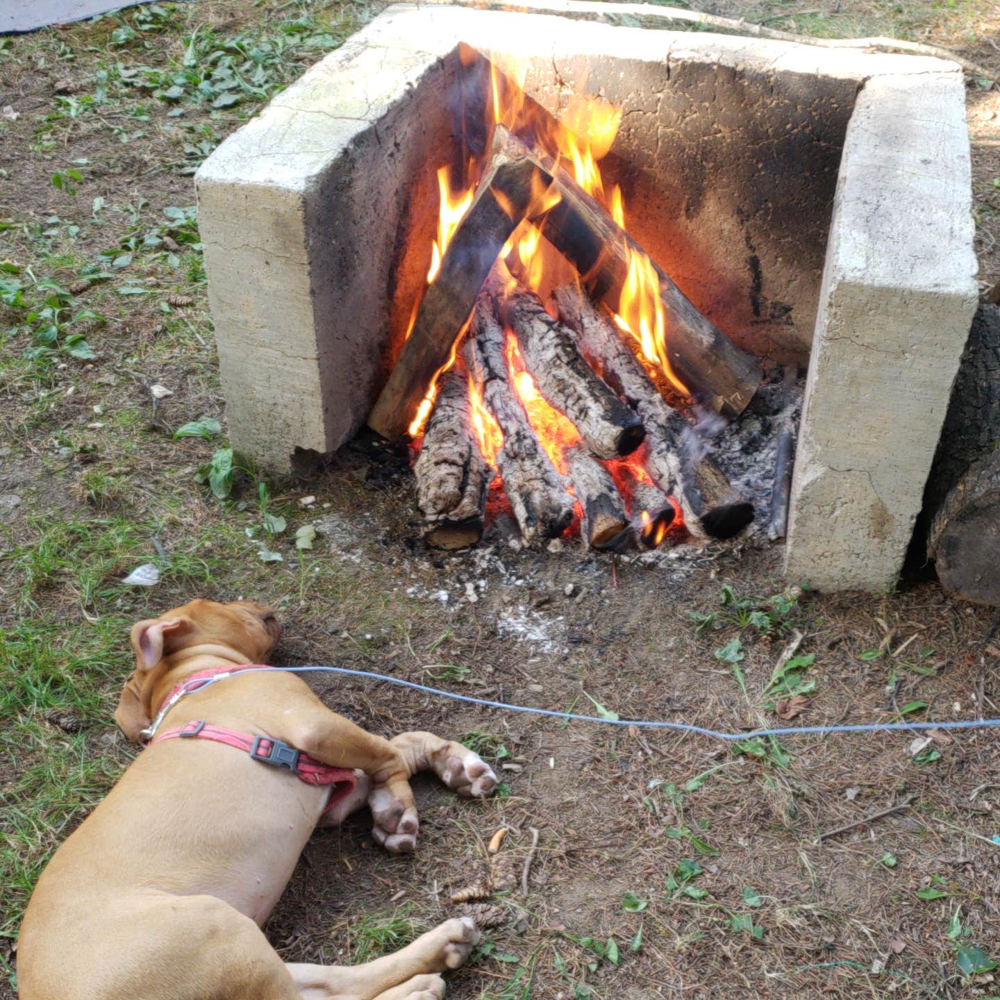 Canoe River Campground | Mansfield Center, Massachusetts