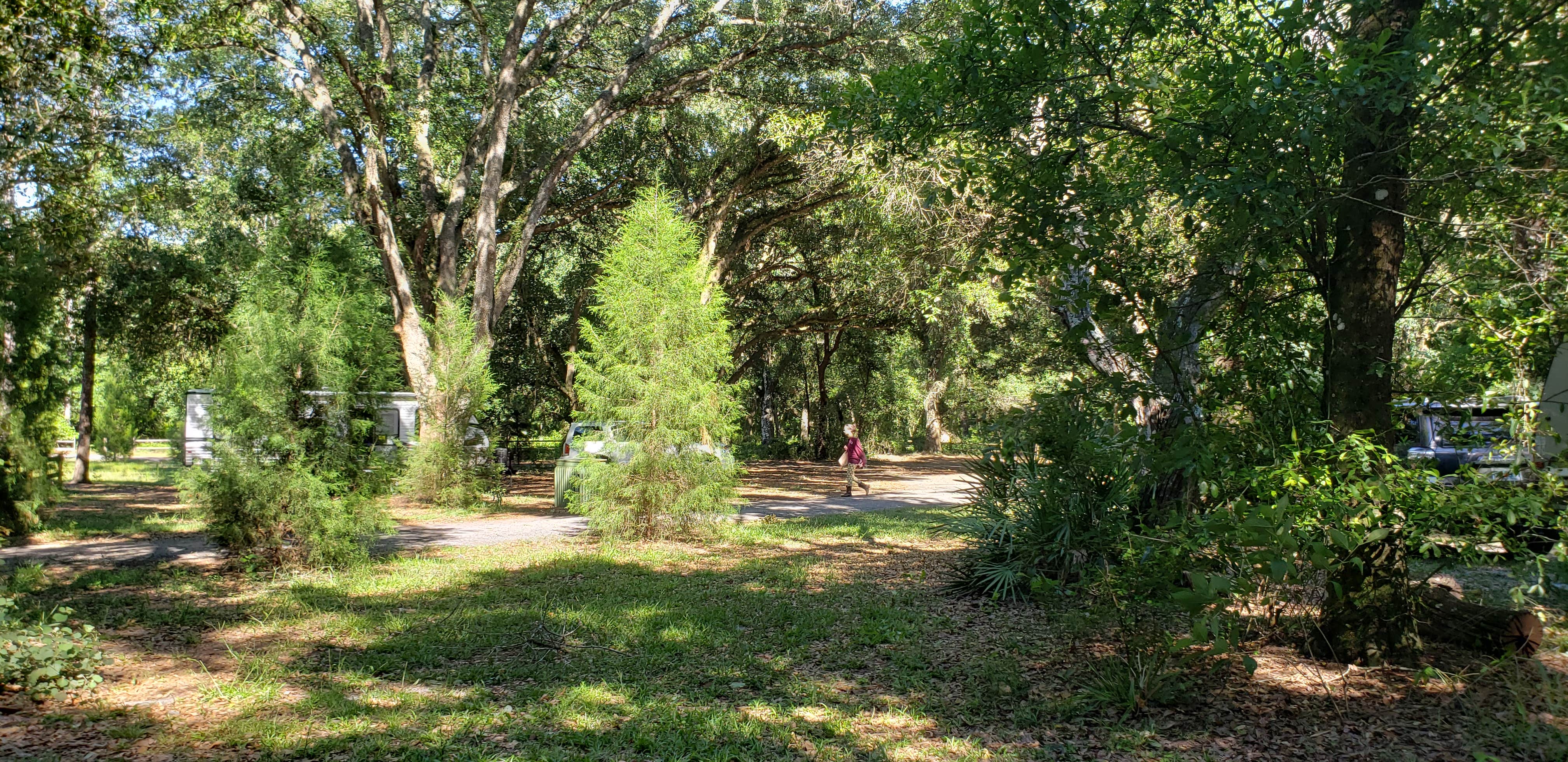 Withlacoochee River Park Camping | Dade City, FL