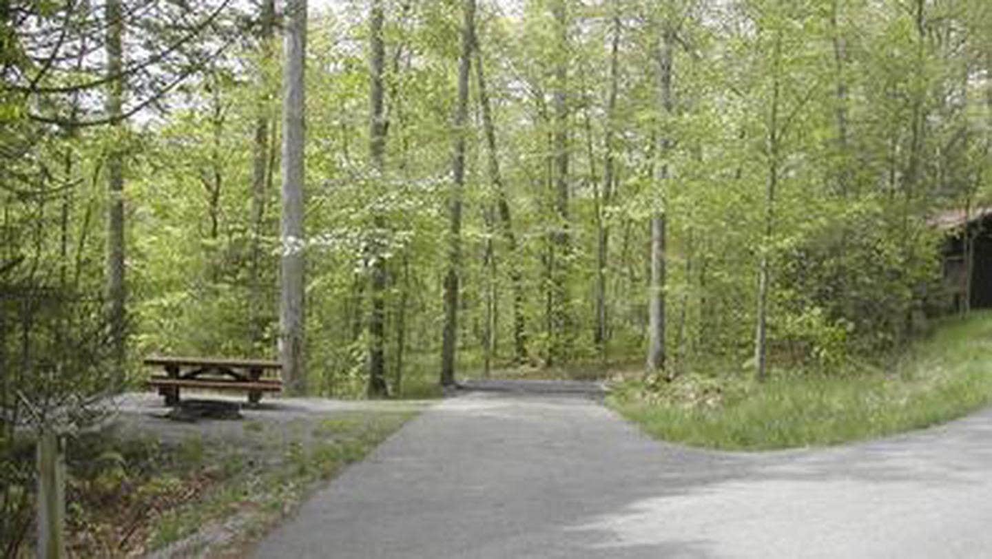 Best Campgrounds near Seneca Rocks, WV