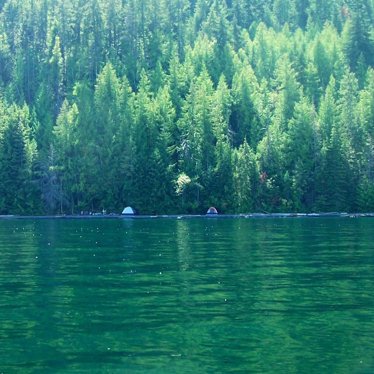 Whiskey Rock Bay Campground Camping | The Dyrt