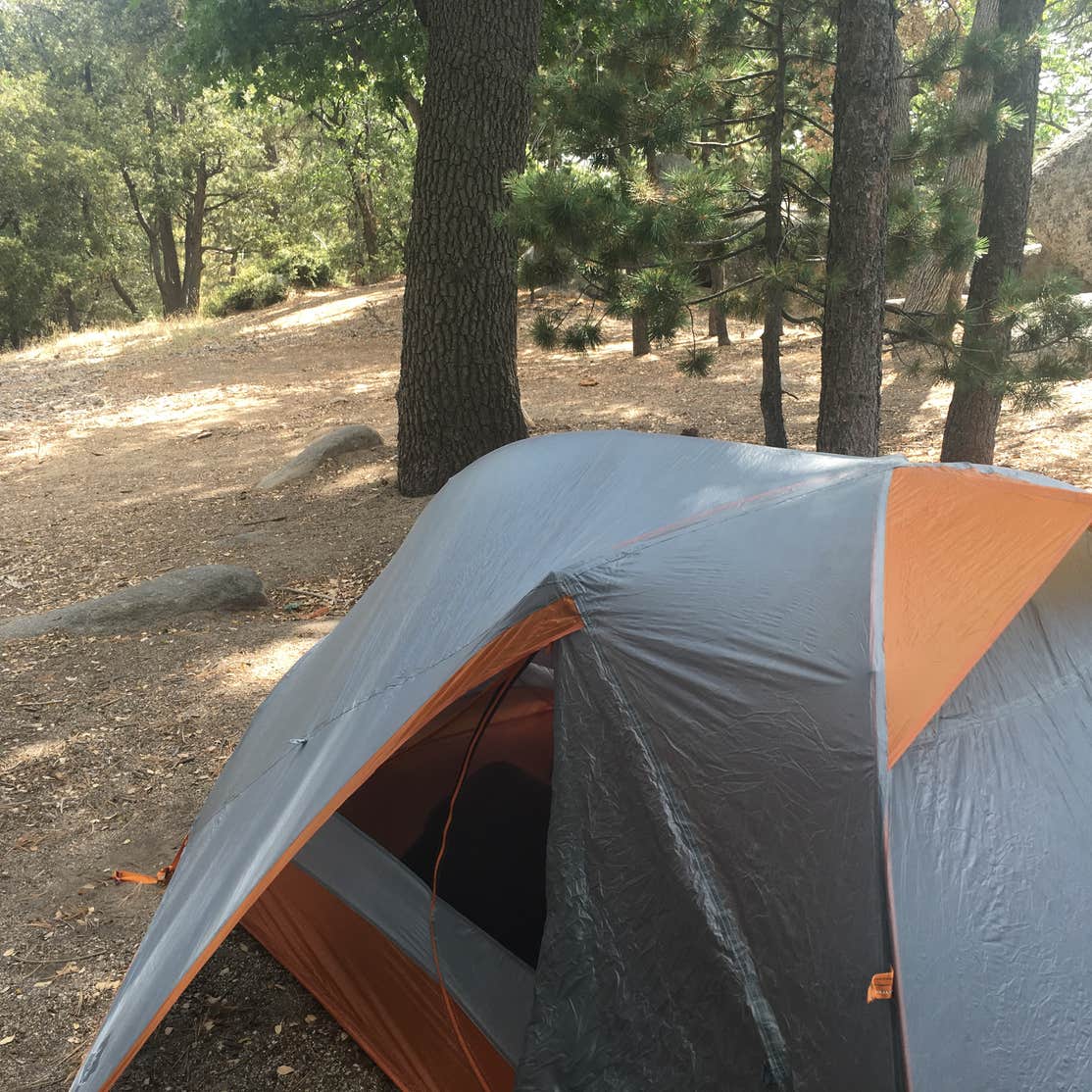 Idyllwild Campground Camping | The Dyrt